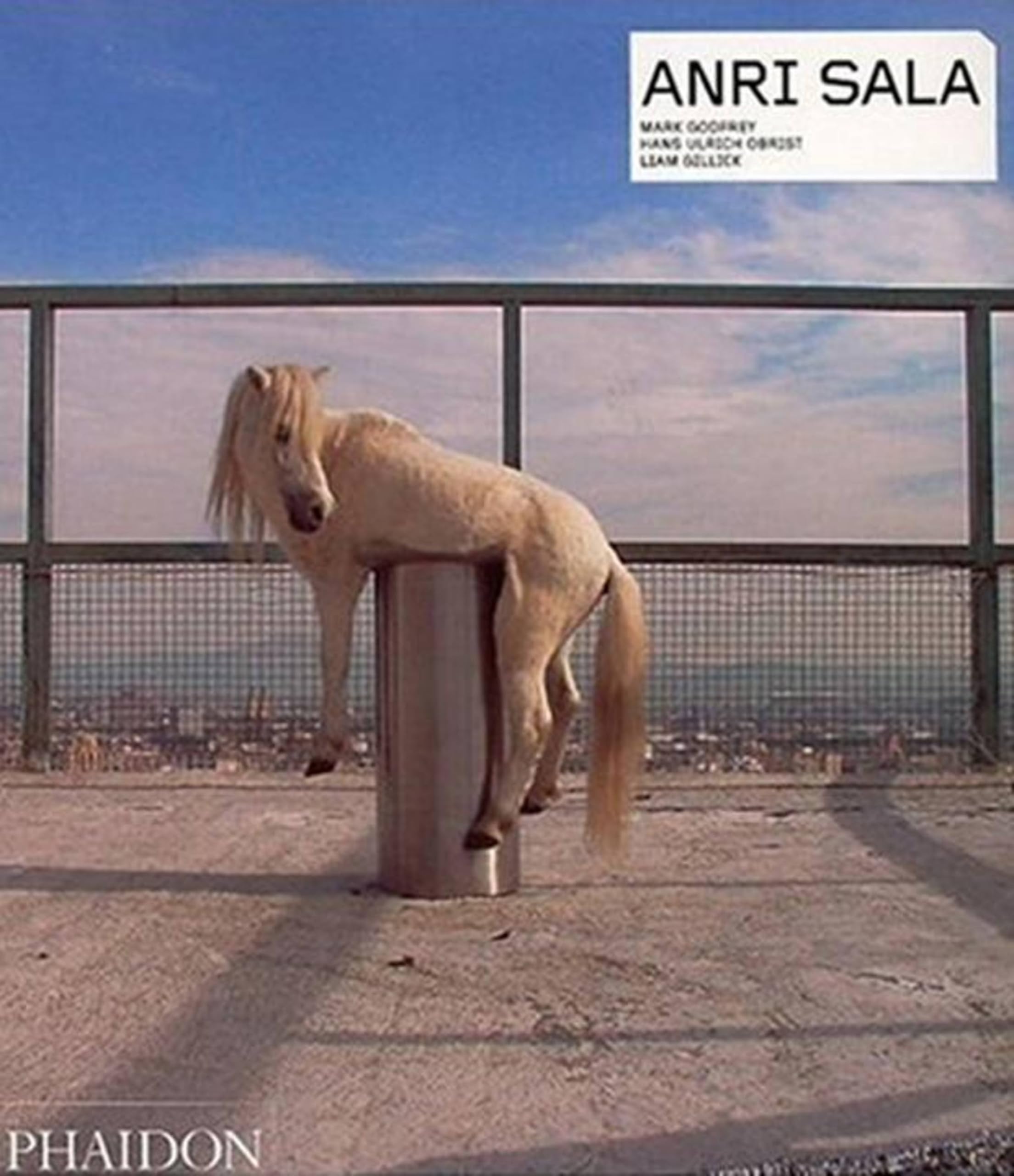 Anri Sala (Phaidon Contemporary Artists Series): Godfrey, Mark, Obrist ...