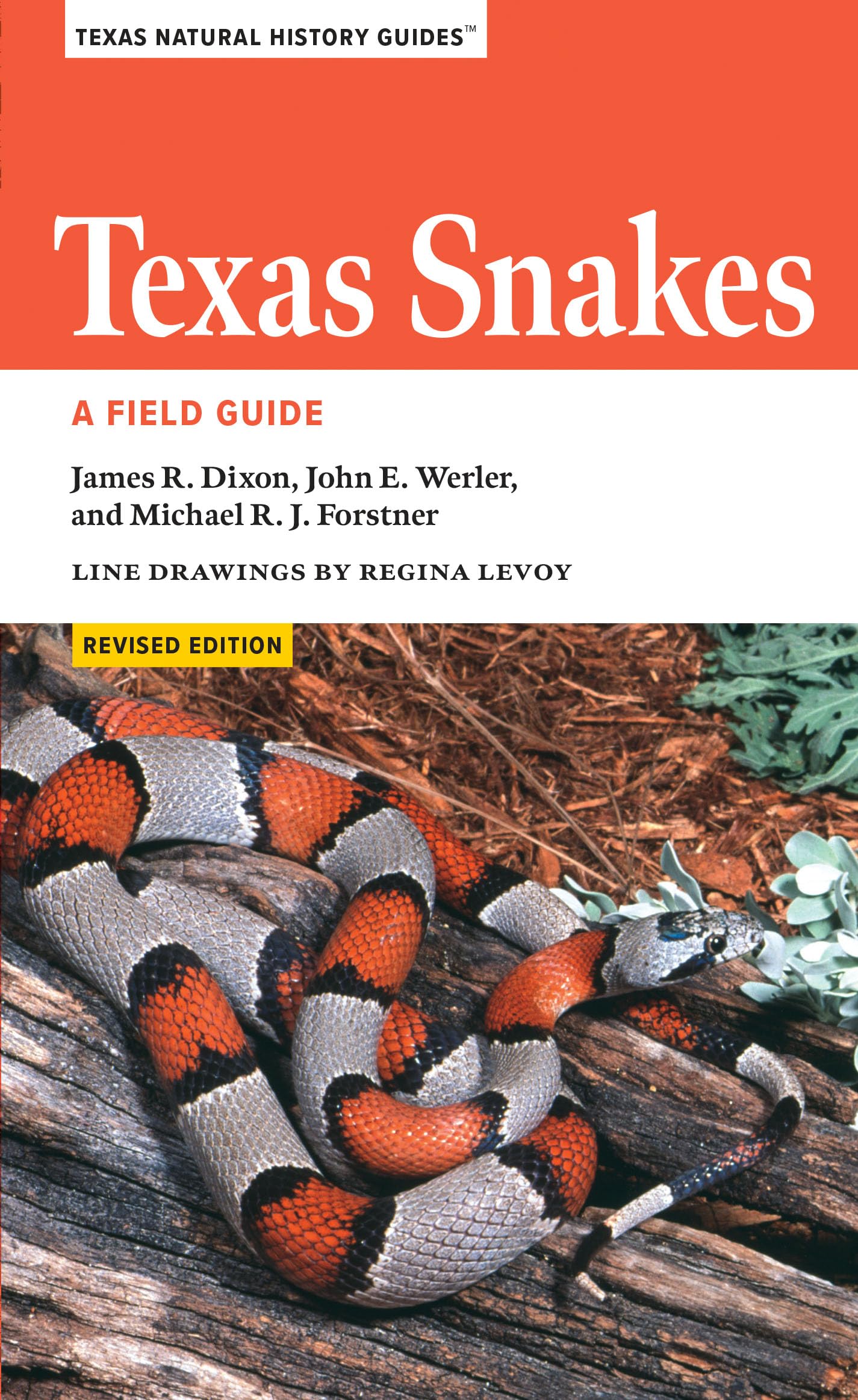 Snapklik.com : Texas Snakes: A Field Guide