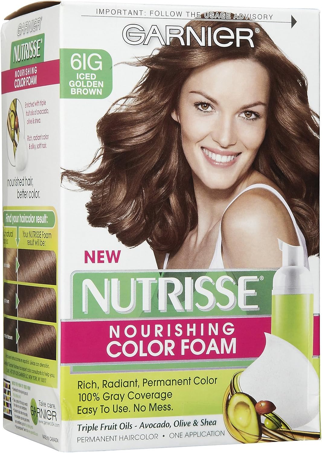 Garnier Nutrisse Mousse Nourishing Color Foam Haircolor, 6Ig Iced ...