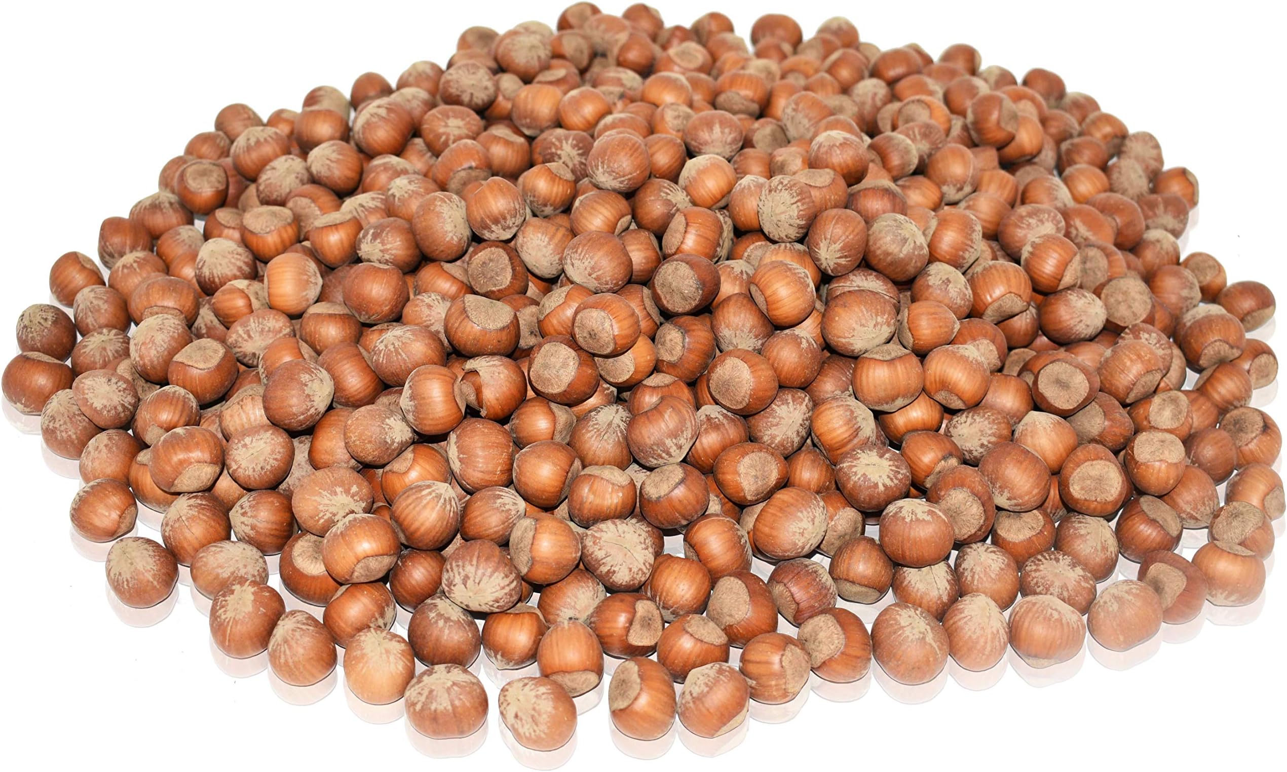 Amazon.com : Anna and Sarah Large Oregon Hazelnuts in Shell, 5 Lbs ...