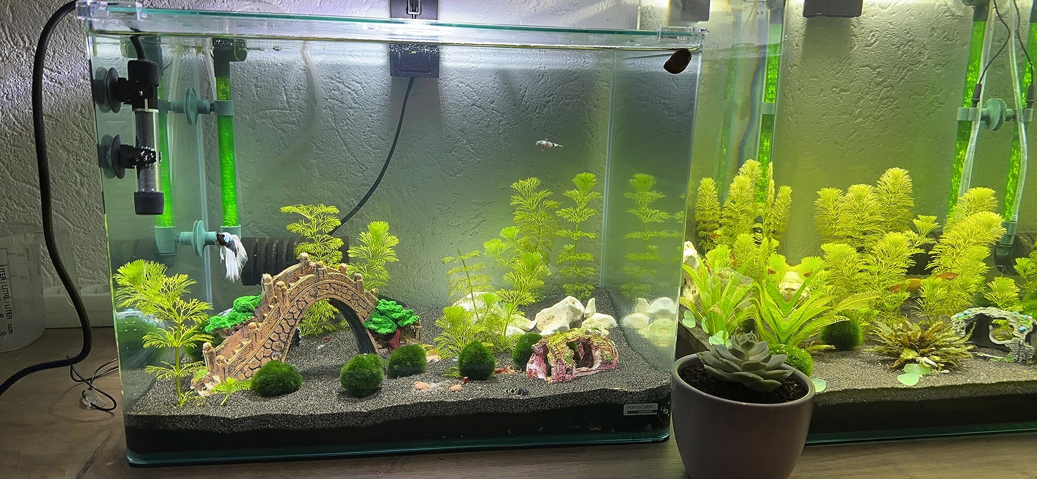 Dennerle 5593 Nano ScapersTank - 55 Liter - Aquascaping Aquarium - 45 x ...