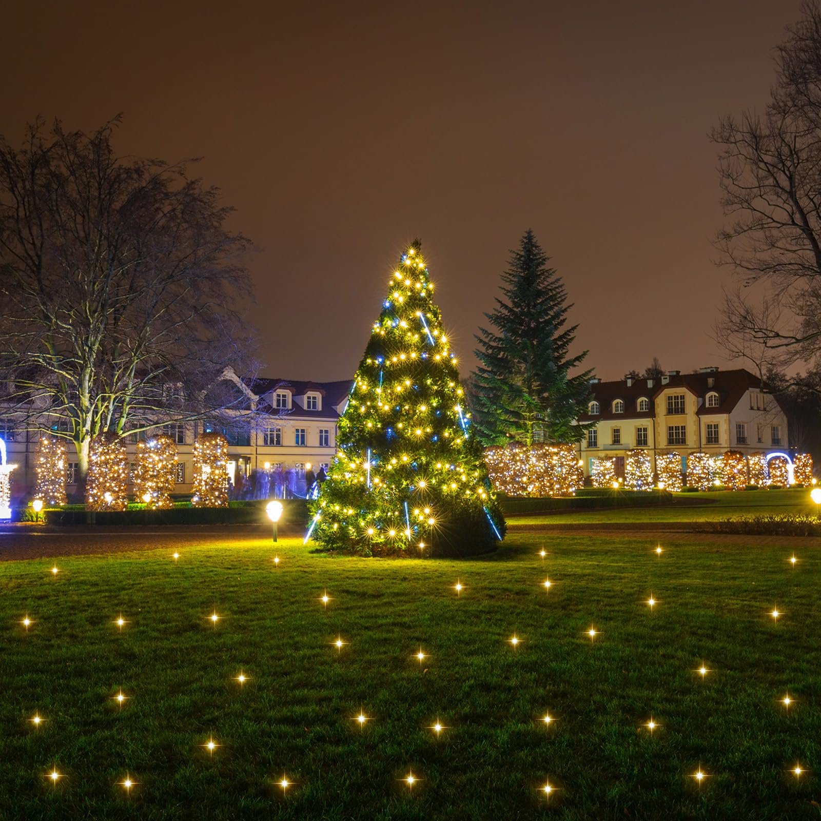 Christmas Lights In Grass Christmas Outdoor Lights — The Worm That
