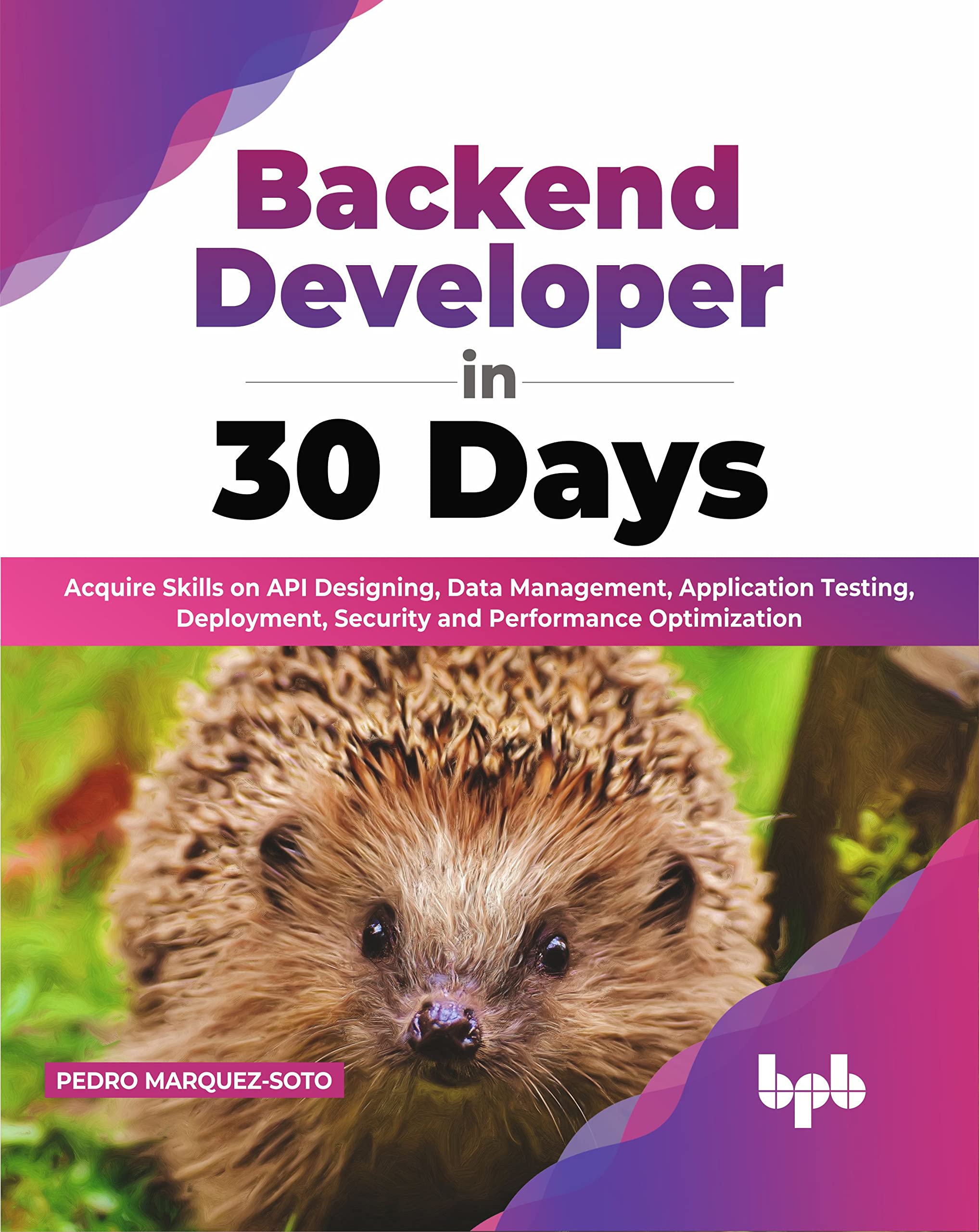 Backend Developer in 30 Days: Acquire Skills on API Designing, Data ...