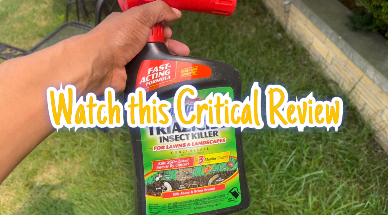 Watch My top Critical Review! on Amazon Live