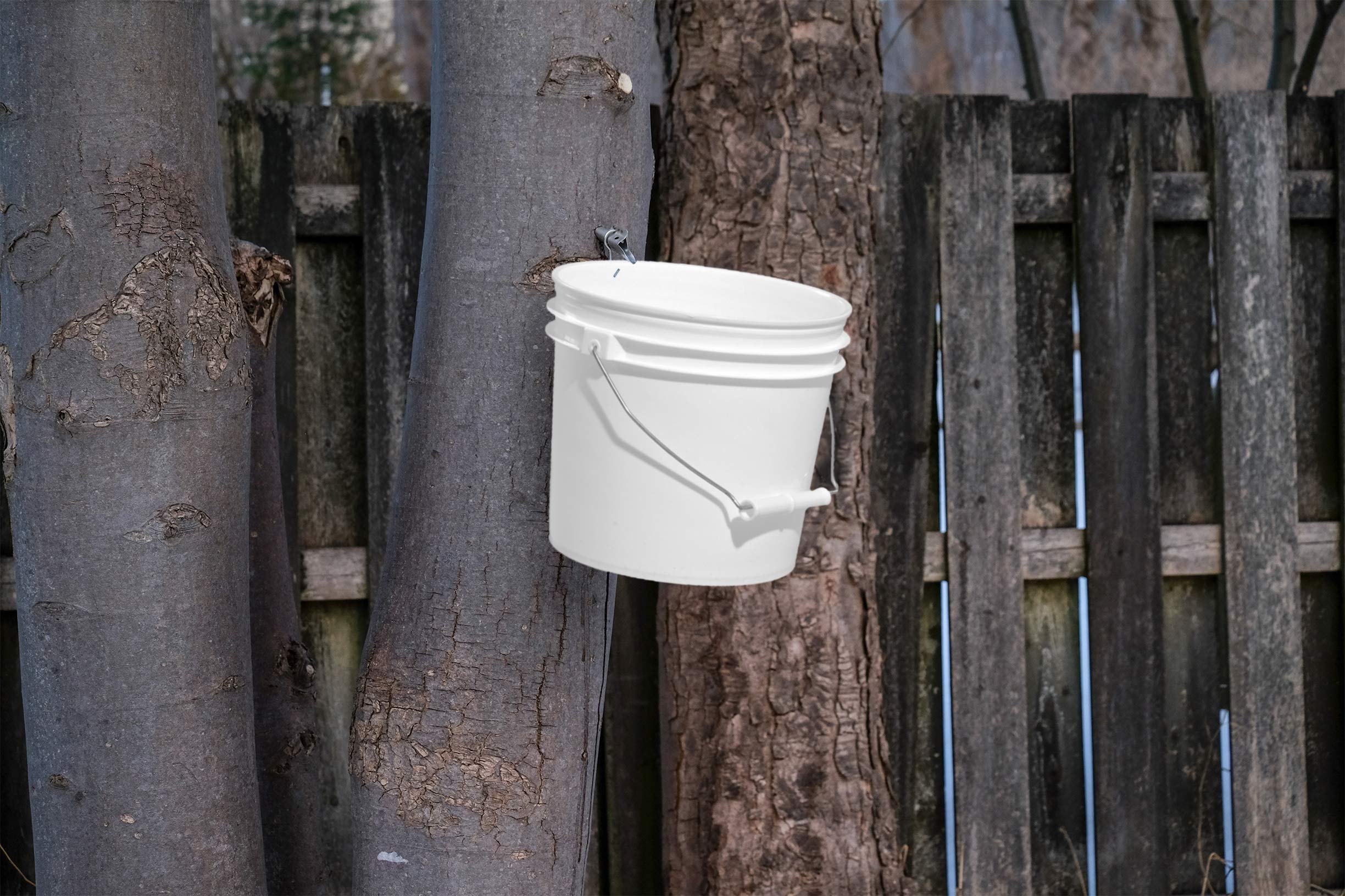 Amazon.com: Illing® Company Premium 1 Gallon Bucket for Maple Syrup ...