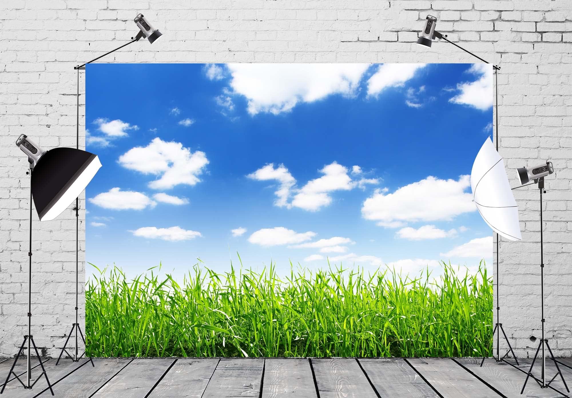 Amazon.com : BELECO 8x6ft Fabric Blue Sky Spring Meadow Backdrop Green ...