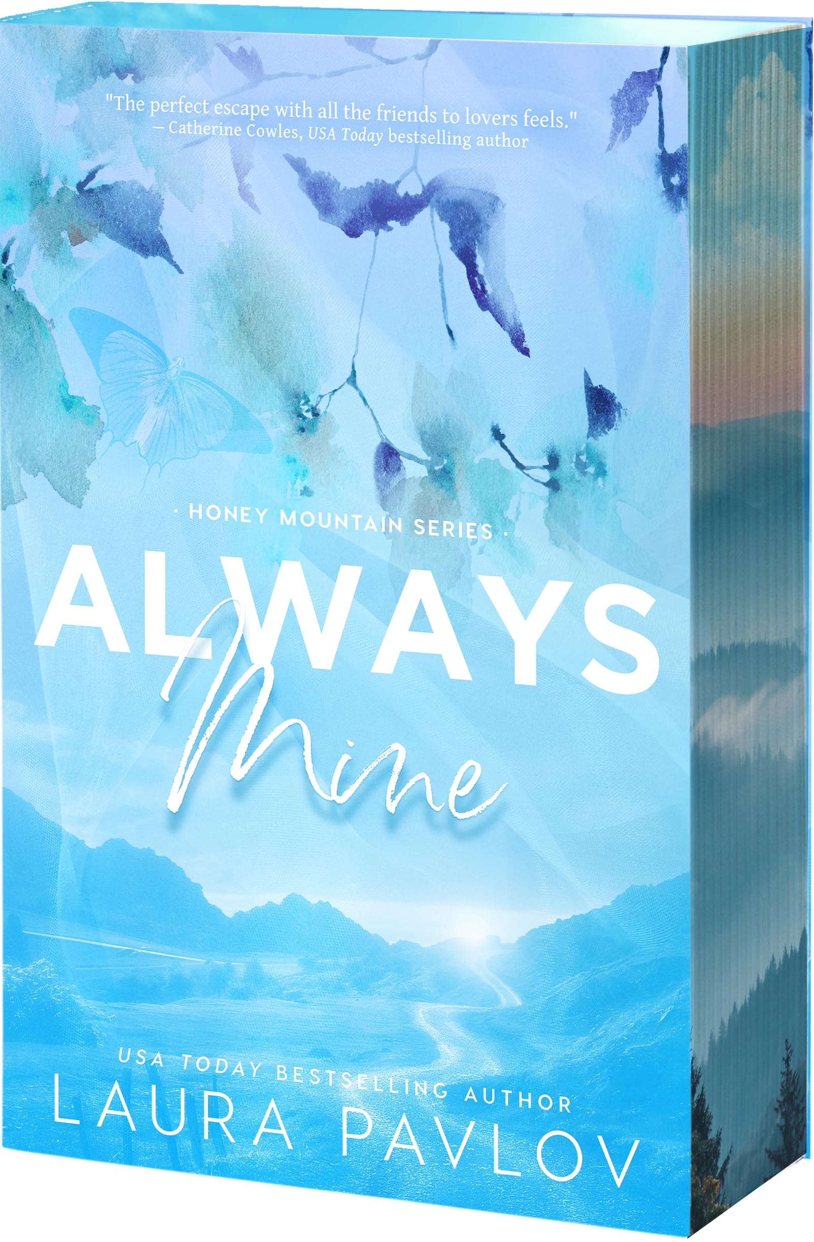 Amazon.com: Always Mine (Honey Mountain, 1): 9781649377784: Pavlov ...