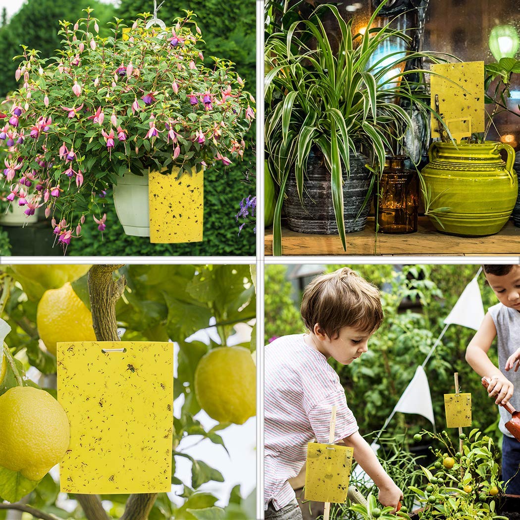 Gideal 20-Pack Dual-Sided Yellow Sticky Traps for Flying Plant Insect ...