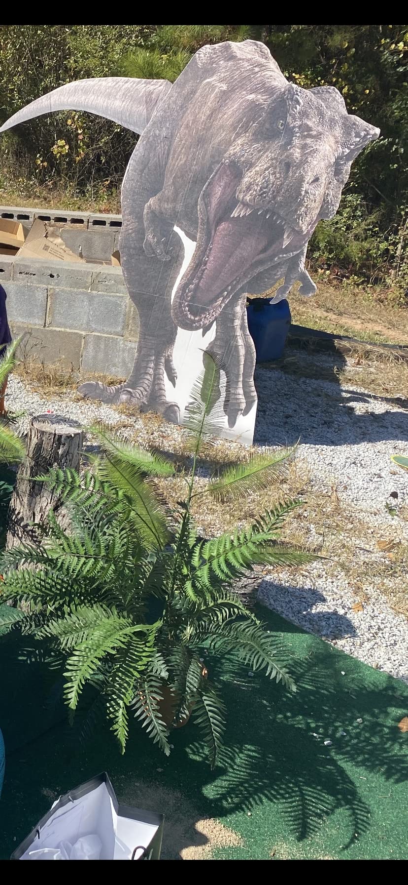 $12/mo - Finance Cardboard People Sinoceratops Life Size Cardboard ...