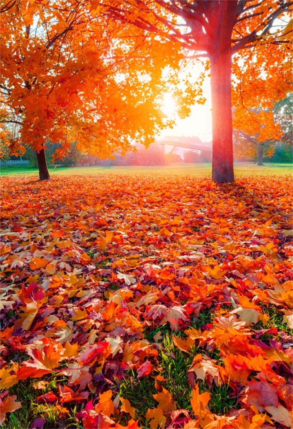 Details 100 portrait nature background - Abzlocal.mx