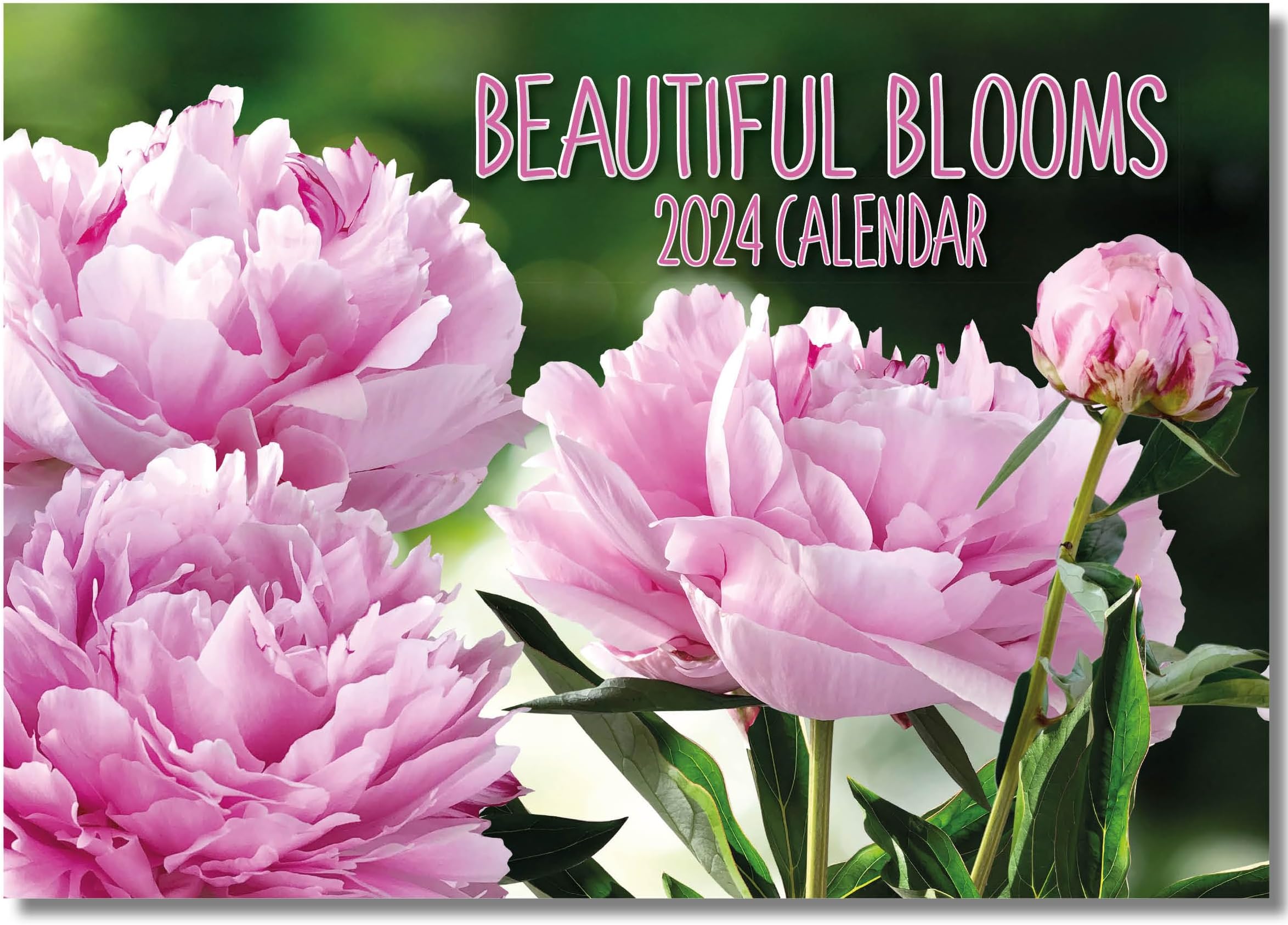 A4 Beautiful Blooms Calendar 2024. One Month to View. UK, Scotland, RoI ...