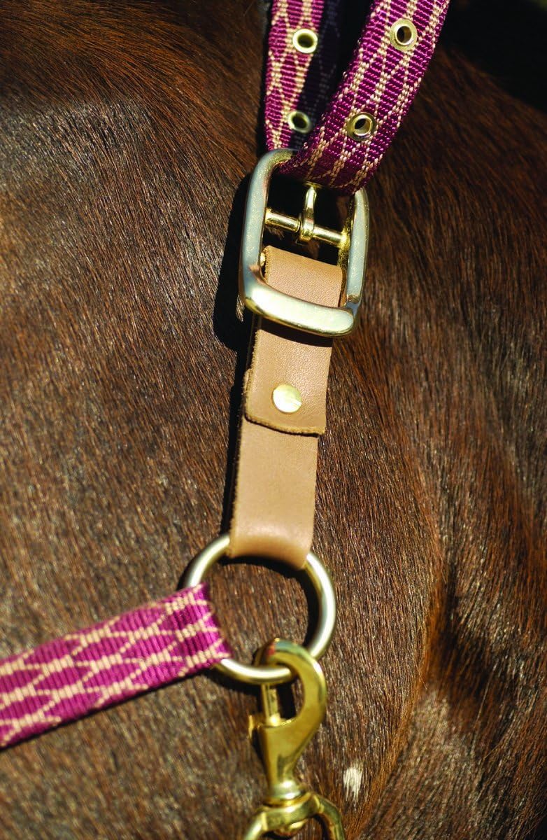Amazon.com: Centaur Replacement Breakaway Halter Set - Brown - 1 X 9 ...