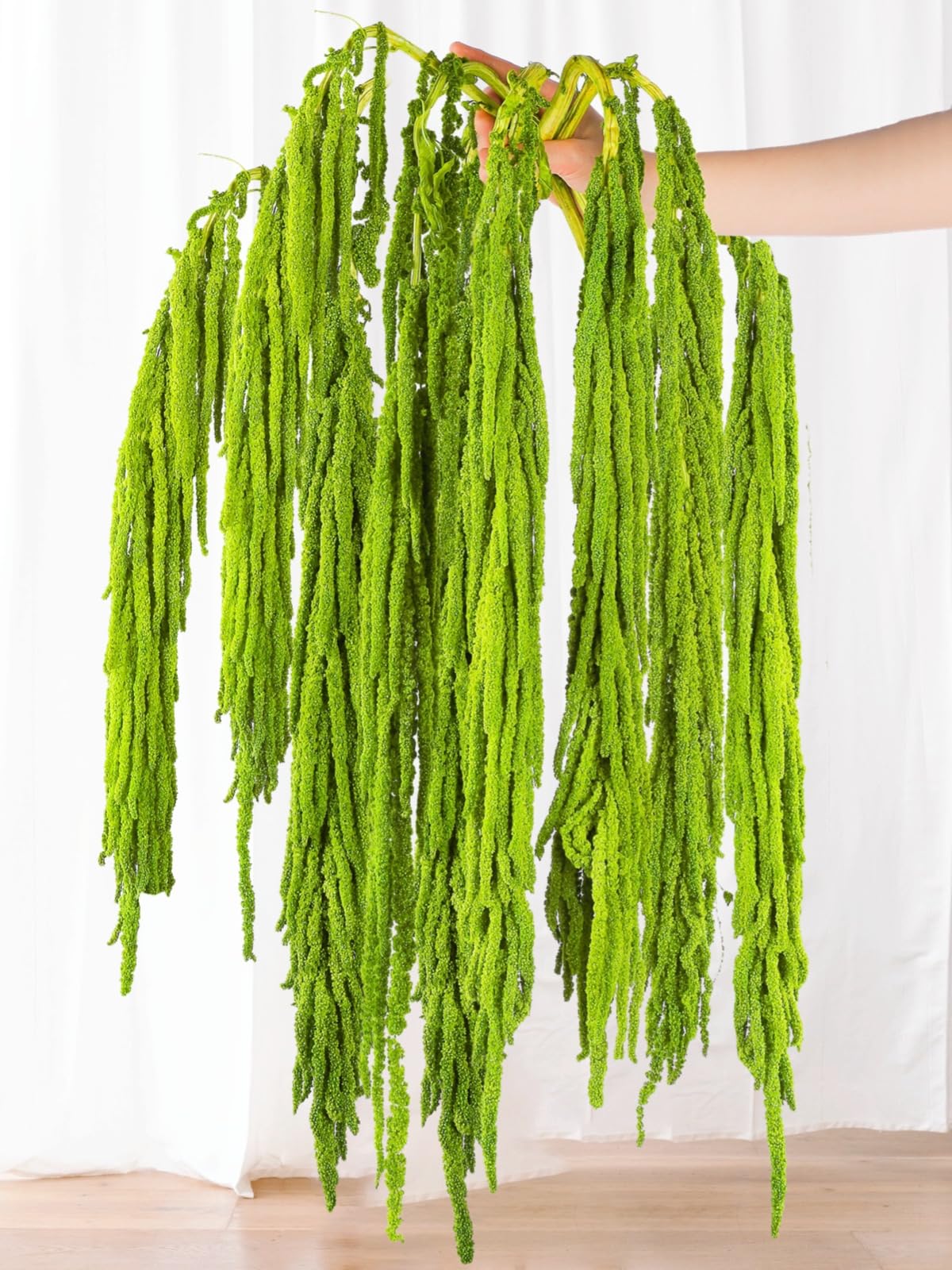 Amazon.com: 7Pcs Green Dried Amaranthus Hanging Flowers - 100% Natural ...