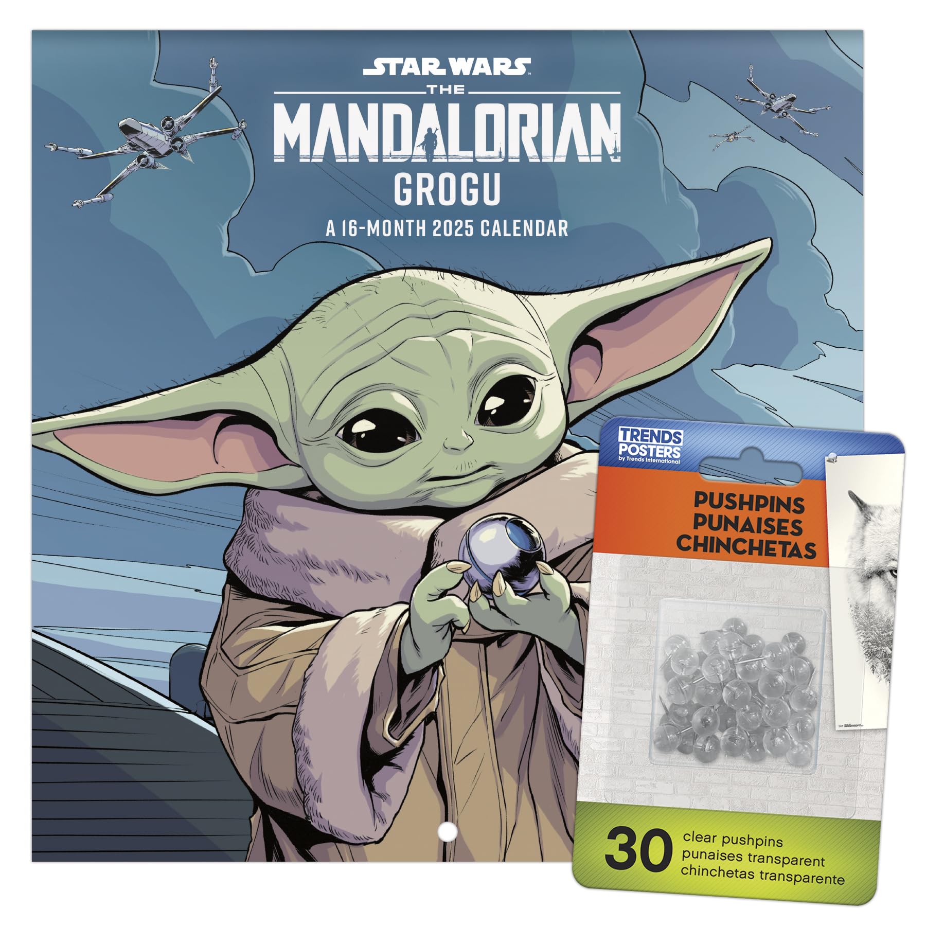 Amazon.com: 2025 Star Wars Mandalorian - Grogu Mini Calendar & Push ...