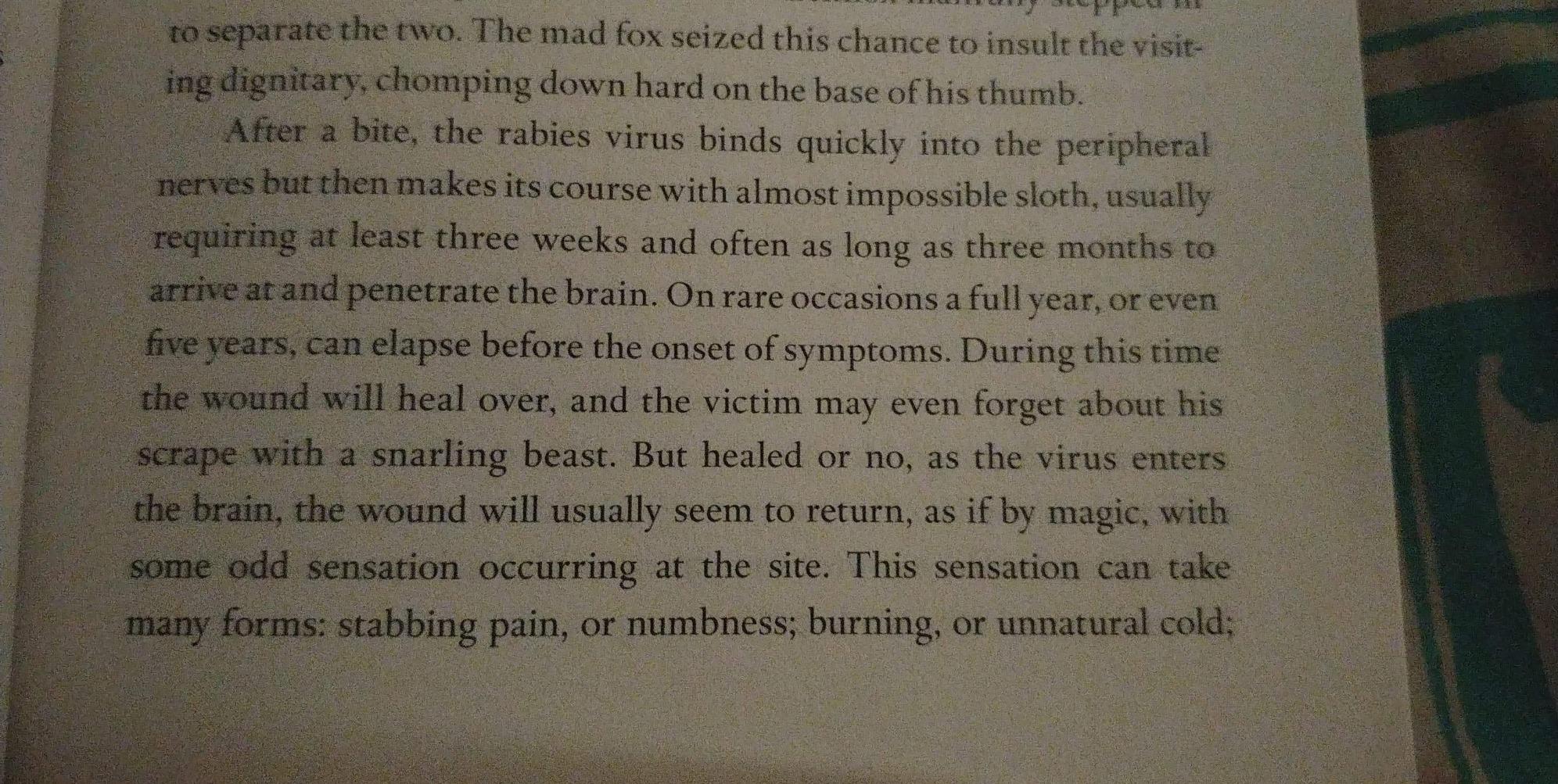Rabid: A Cultural History of the World's Most Diabolical Virus: Wasik ...