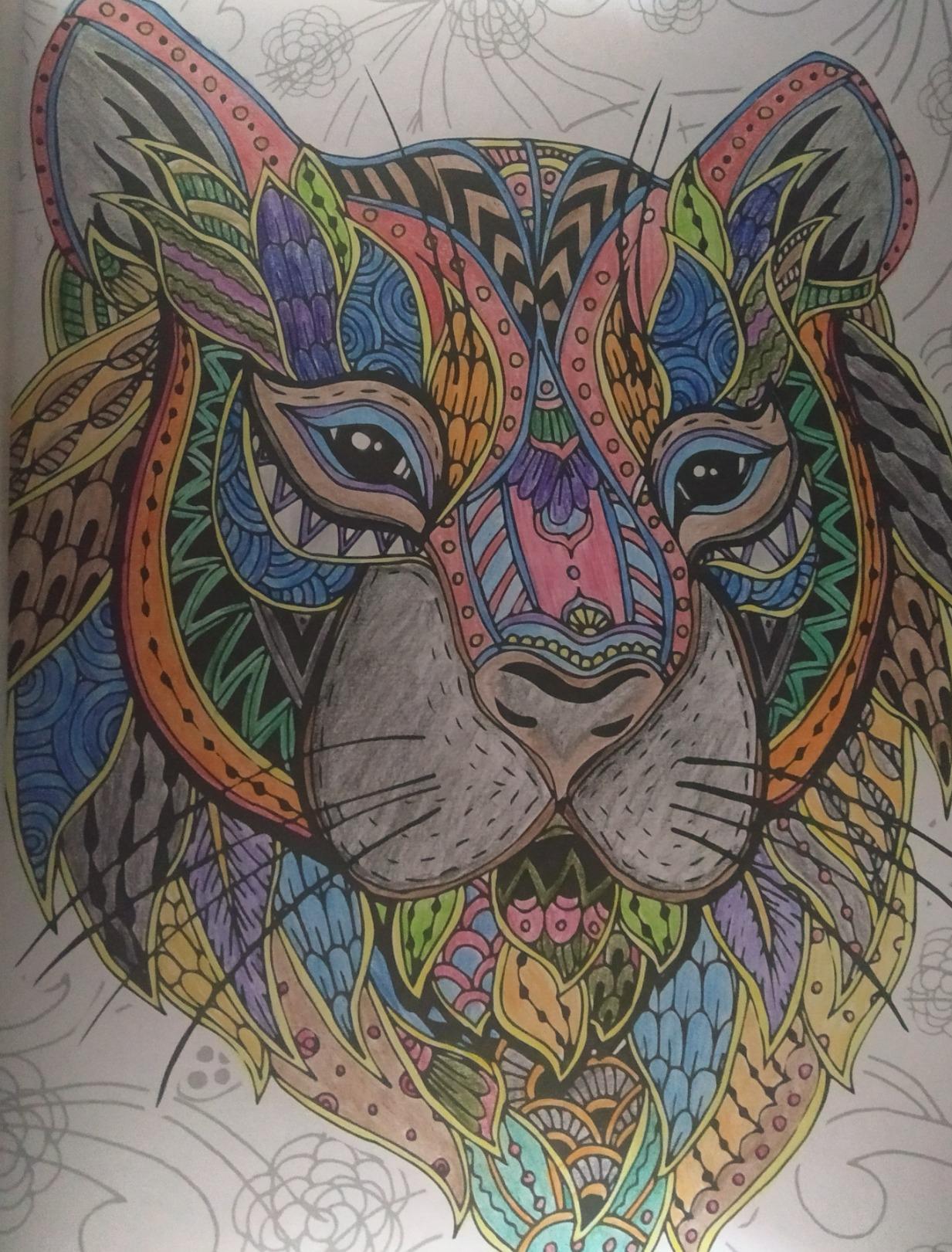 Buy Animals & Birds - Creative Doodle Colouring Book for Beginners and ...