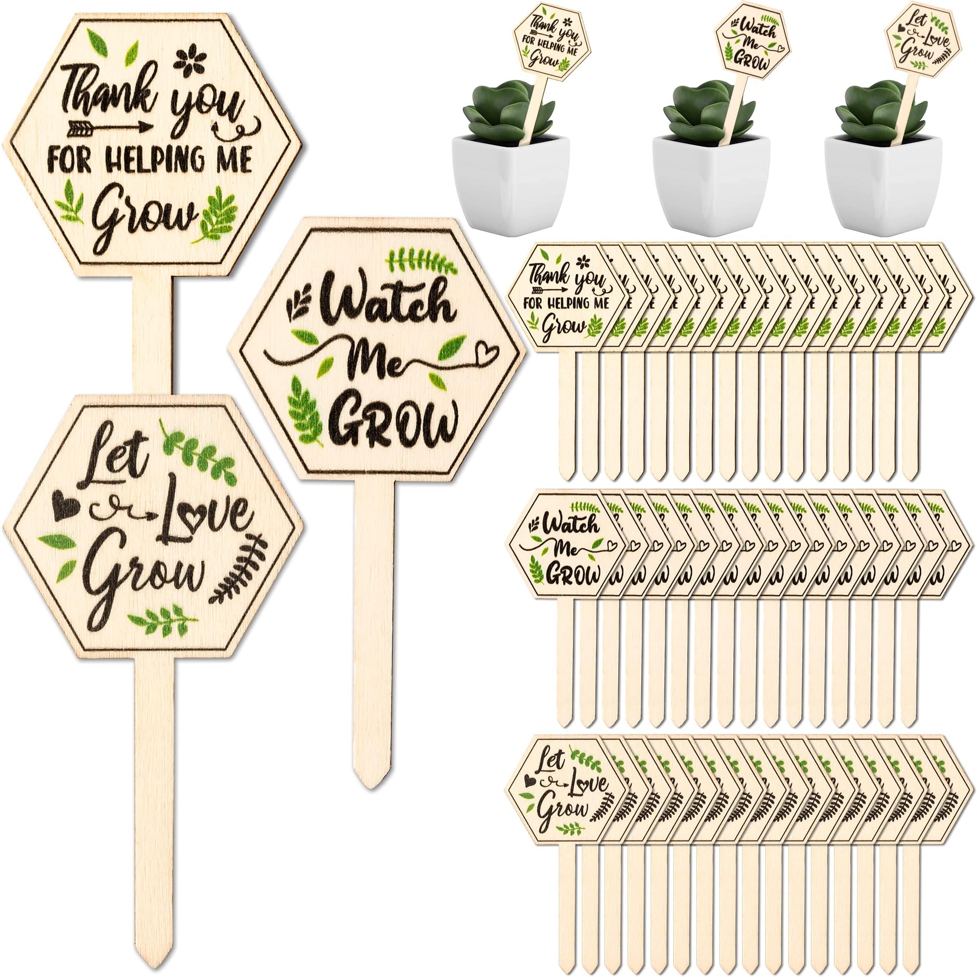 Amazon.com: Dreamtop 40PCS Watch Me Grow Succulent Tags Baby Shower ...
