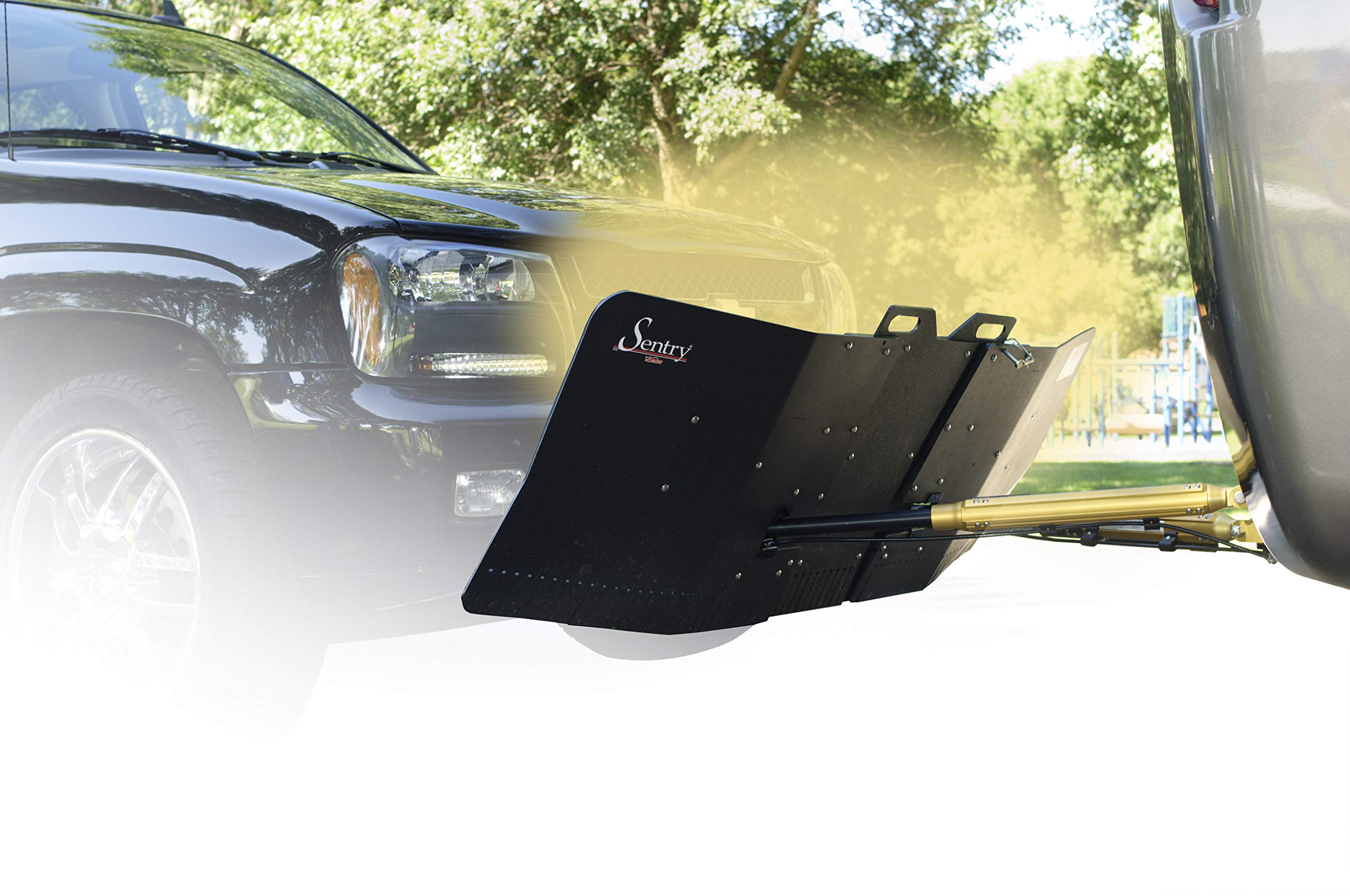 Amazon.com: Demco 9523135 Sentry Rock Deflector : Automotive