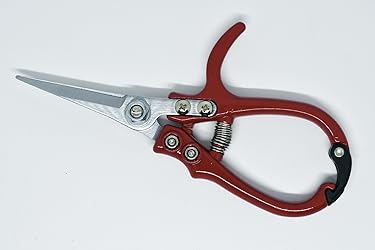 Darlac Ergo Gardening Snips – Strong, Lightweight Gardening Scissors ...