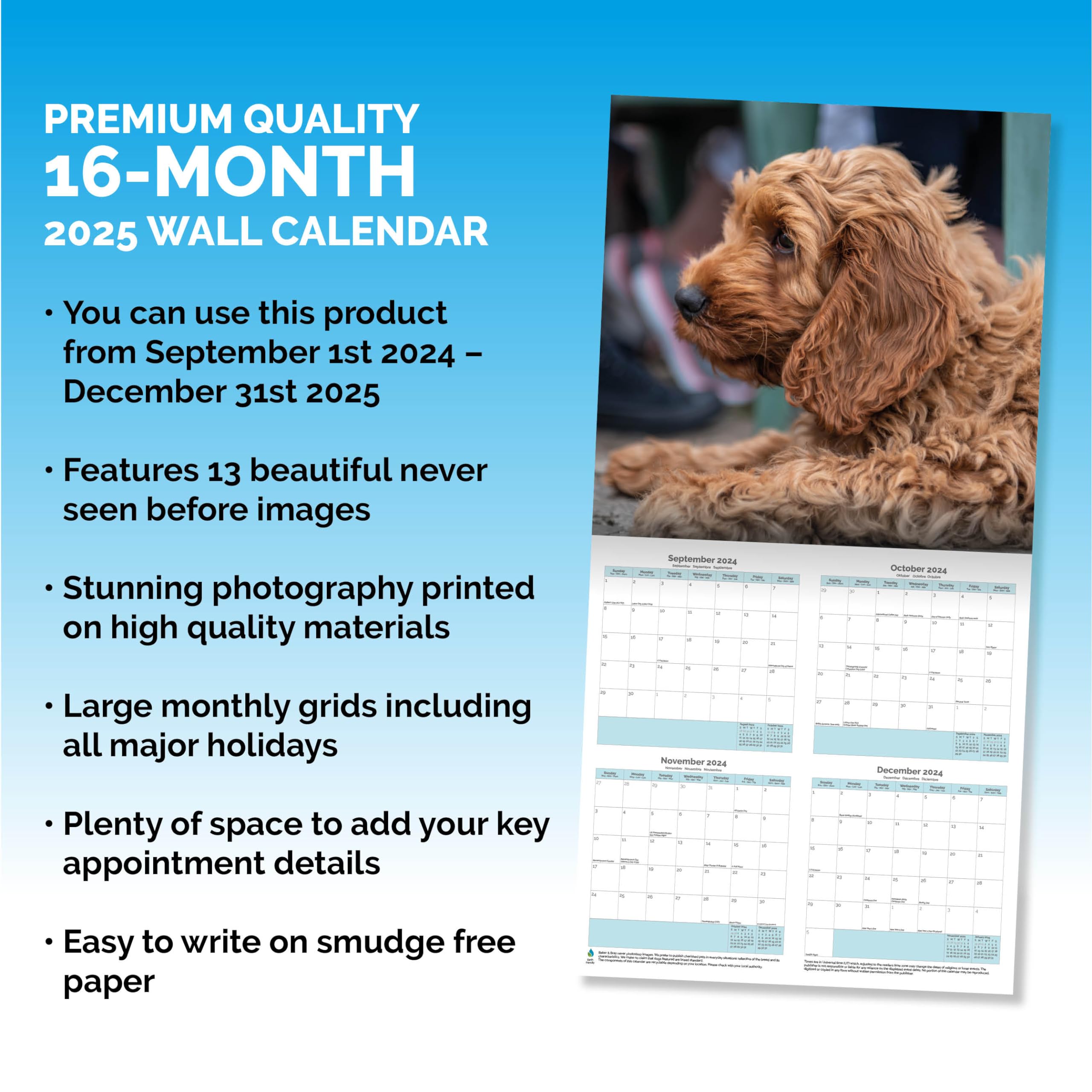 Baker and Bray Cockapoo Calendar 2025, Large Square Wall Calendar, 16 ...
