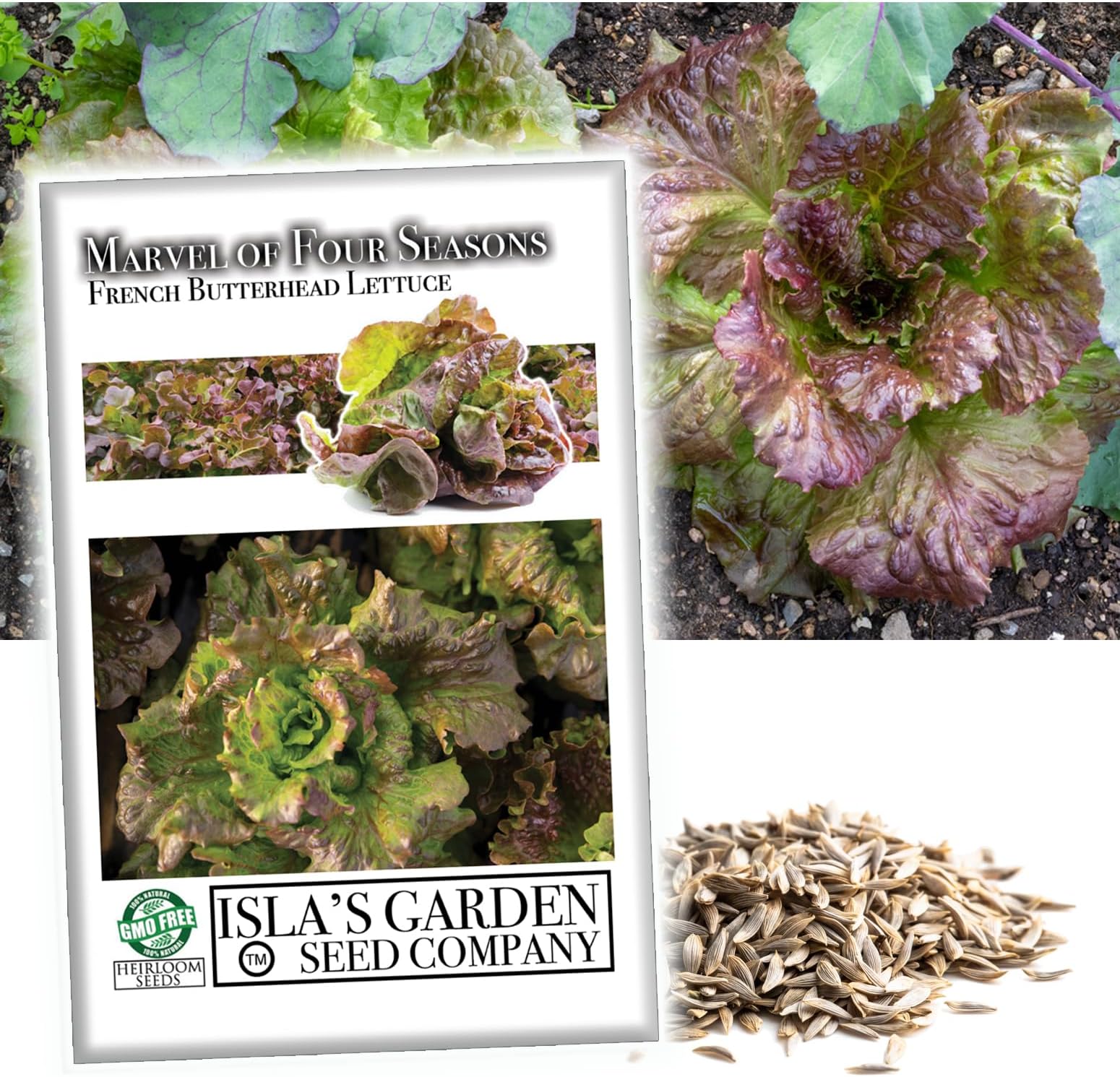 Amazon.com : White Sweet Spanish Onion Seeds for Planting, 500 ...