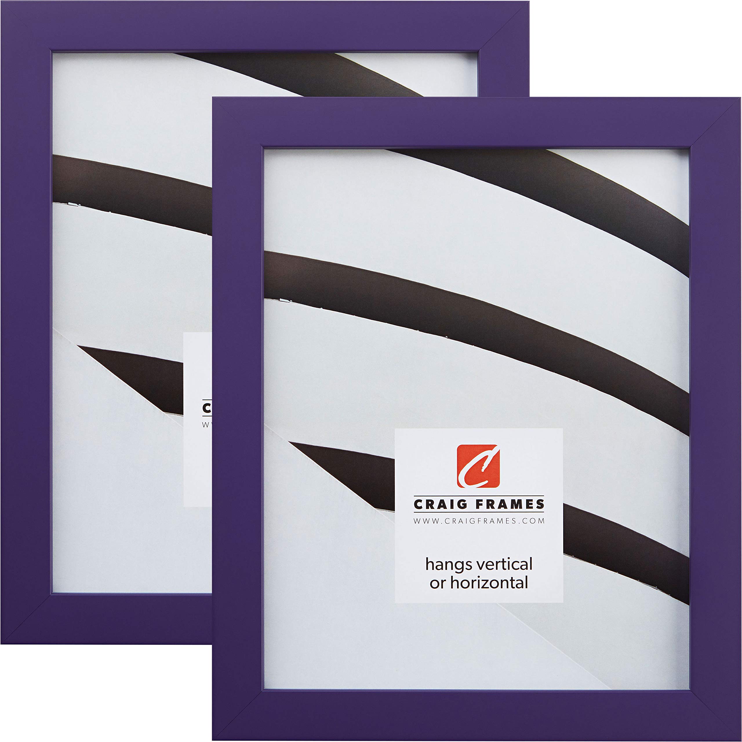 Amazon.com: Craig Frames Confetti, 18 x 24 Inch Picture Frame, Modern ...