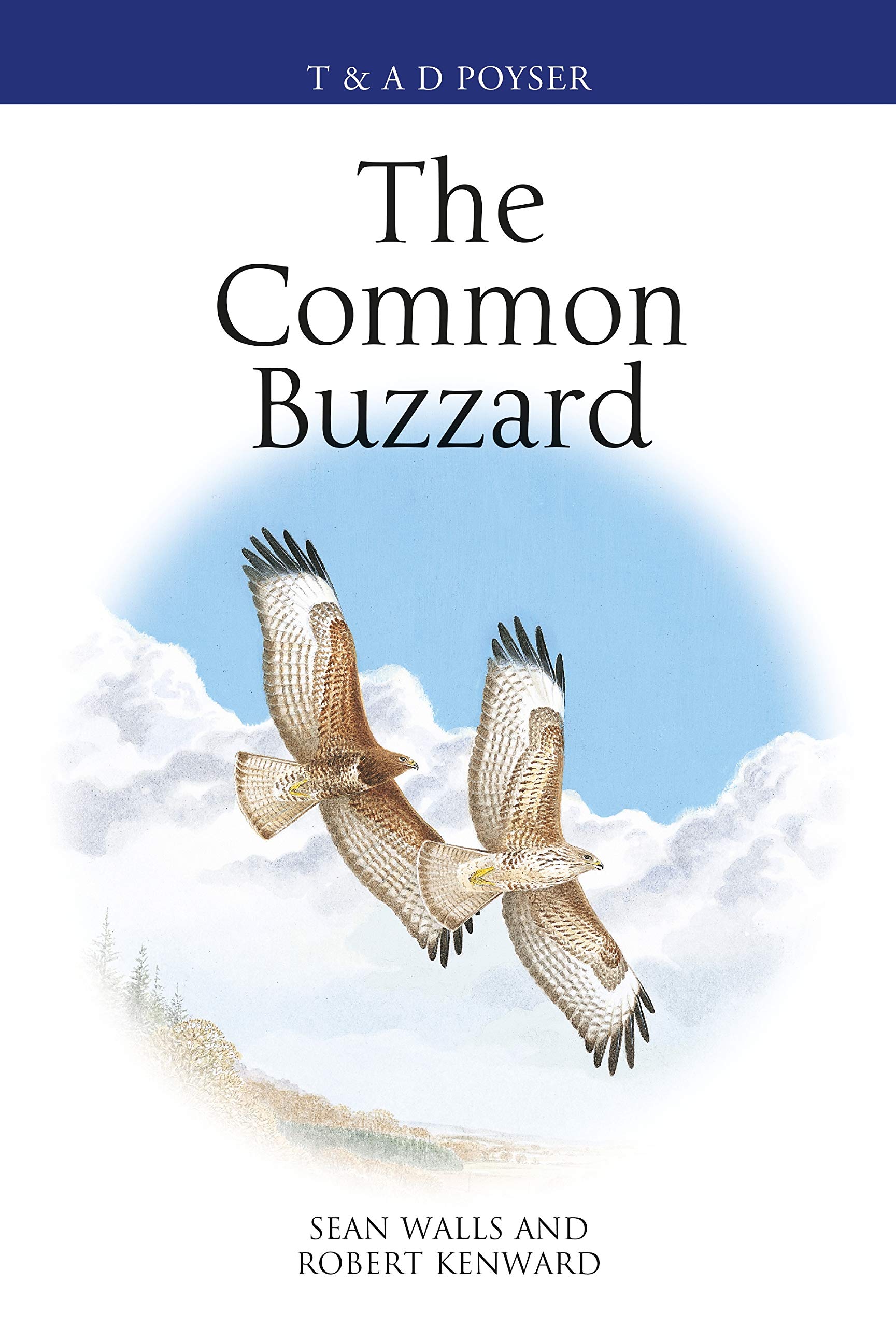 The Common Buzzard (Poyser Monographs): Amazon.co.uk: Walls, Sean ...