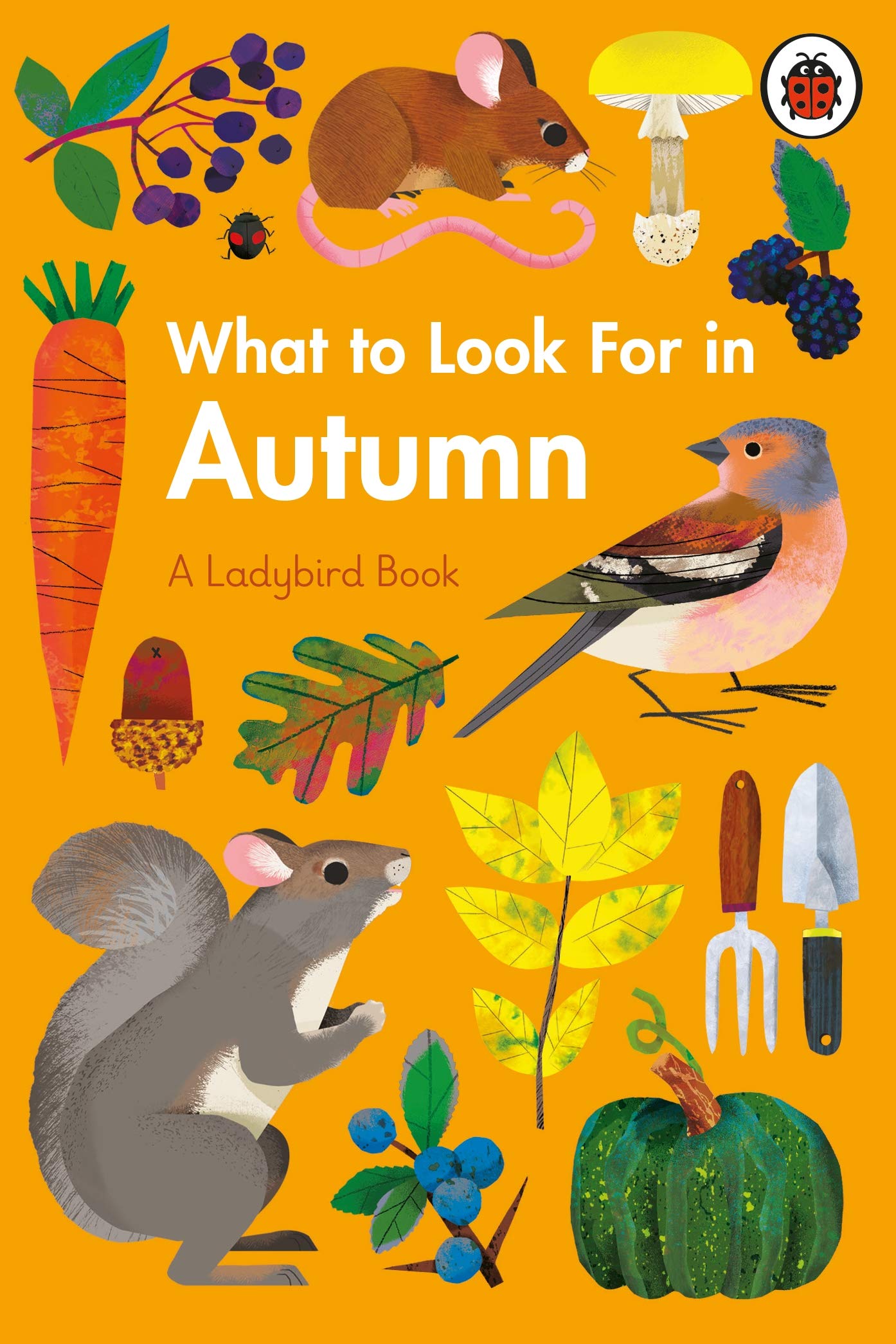 What to Look For in Autumn (A Ladybird Book) : Jenner, Elizabeth ...