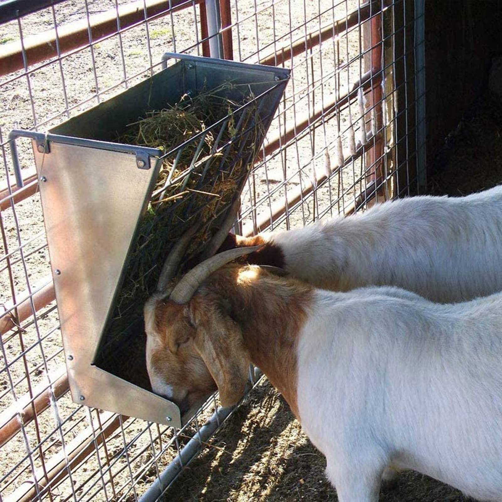 tonchean Goat Hay Rack 2 in 1 Metal Hay Feeder Wall Mount Livestock ...