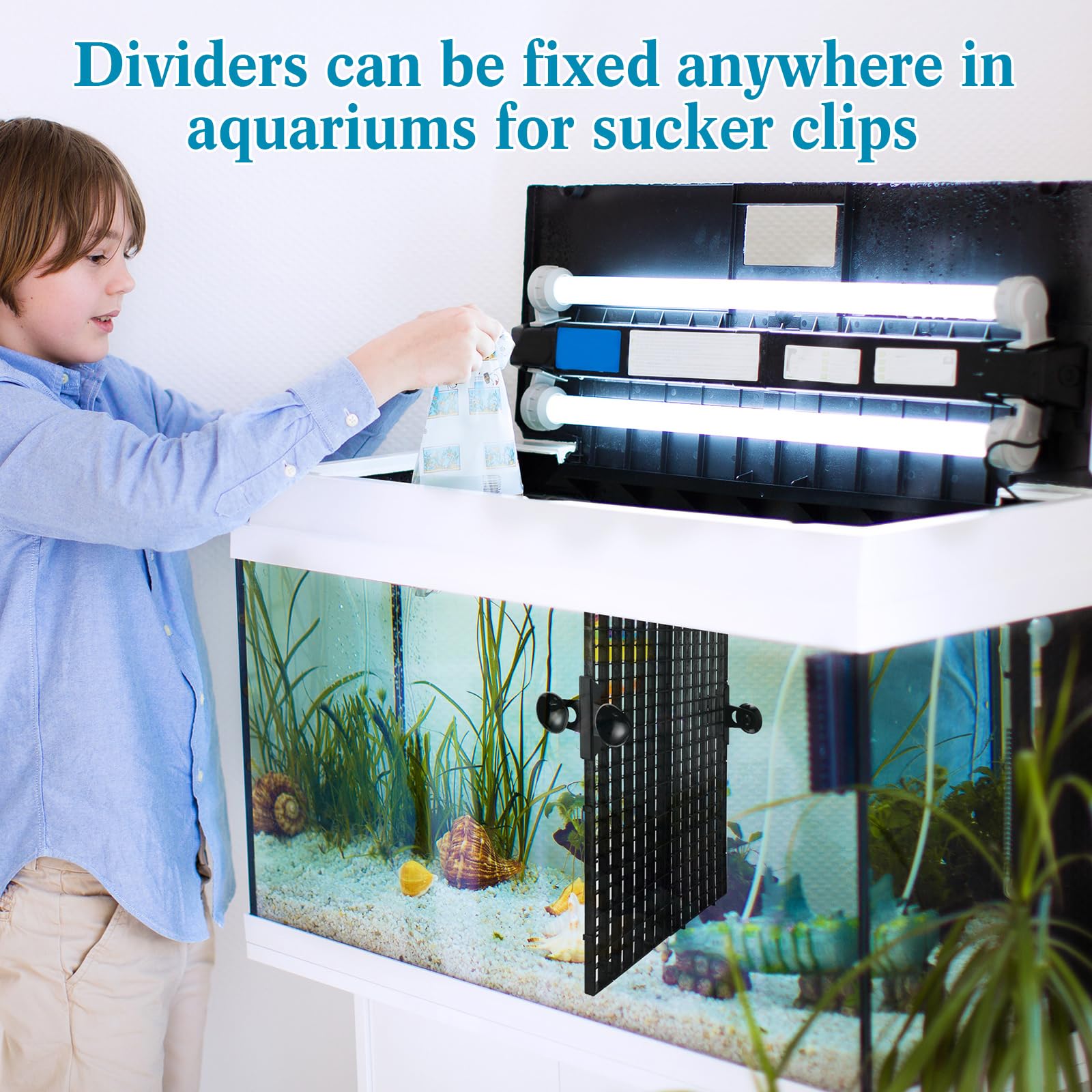 Snapklik.com : Zeyune 6 Pcs Fish Tank Divider Aquarium Separator Light ...