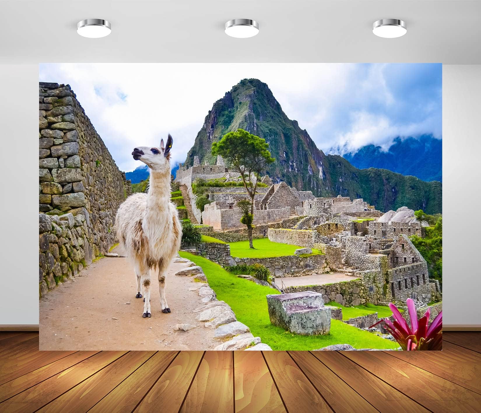 Amazon.com : BELECO 7x5ft Fabric Machu Picchu Backdrop for Photography ...