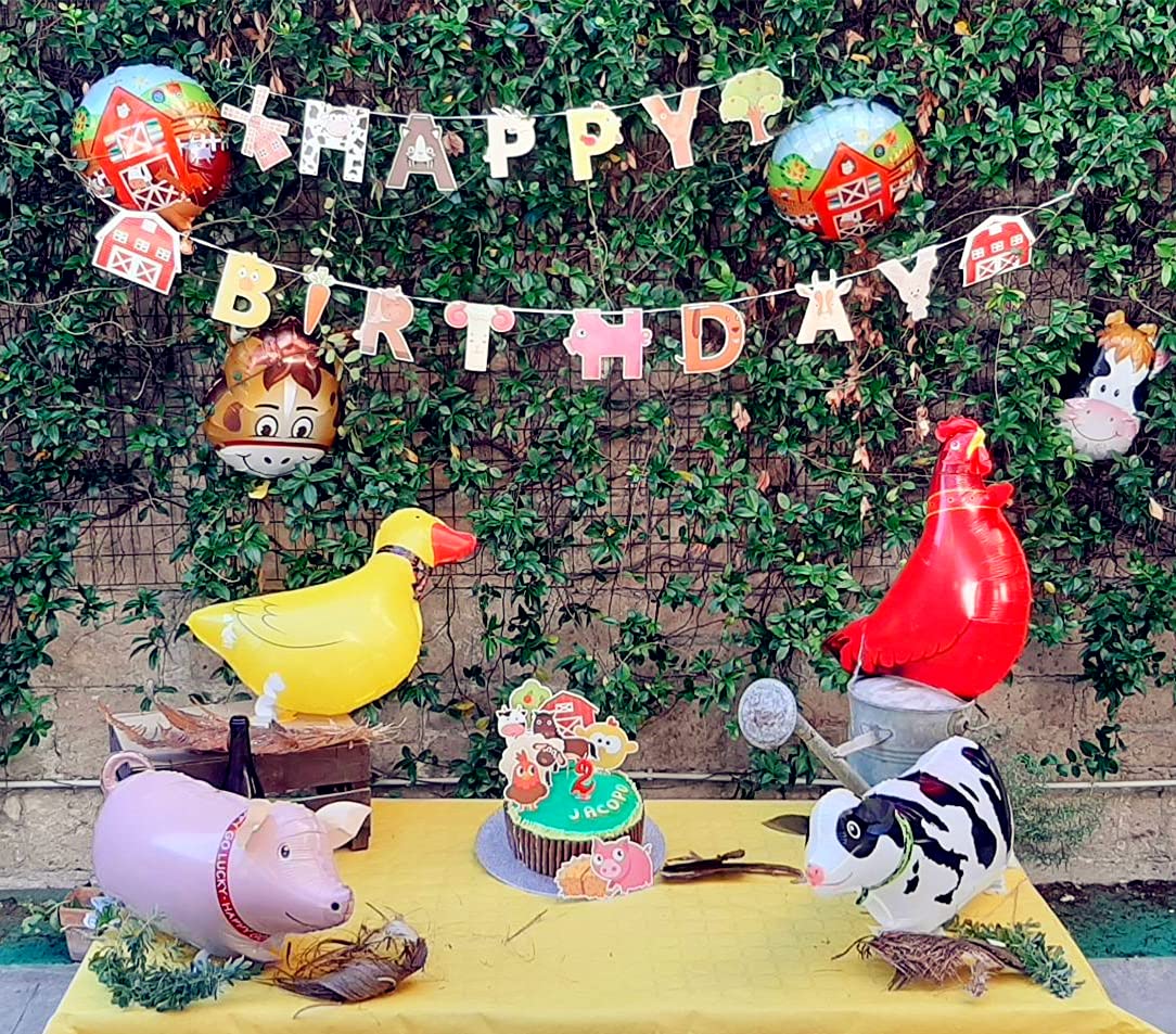 Buy JeVenis 29 PCS Farm Animals Birthday Decoration Farm Animals ...