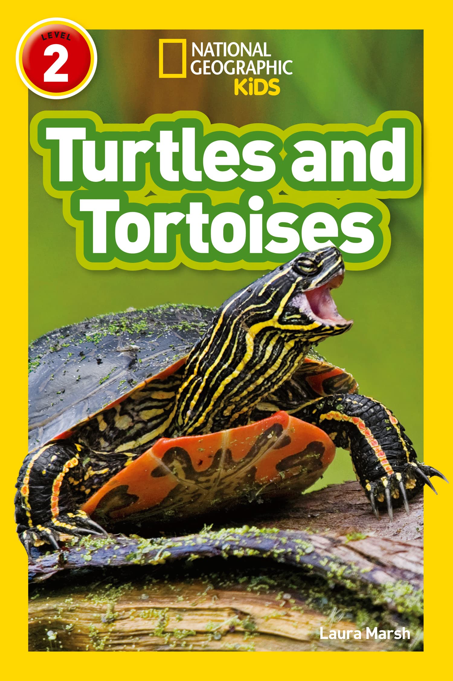 Turtles and Tortoises: Level 2 (National Geographic Readers) : Marsh ...