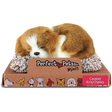 Amazon.com: Perfect Petzzz Mini Orange Tabby Kitten, Kitty Toys for ...