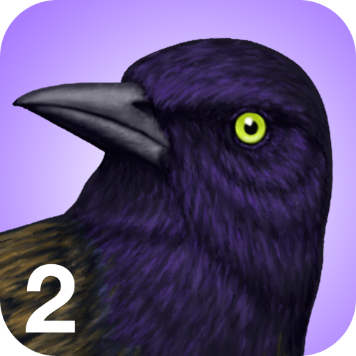 iBird Lite 2 - App on Amazon Appstore