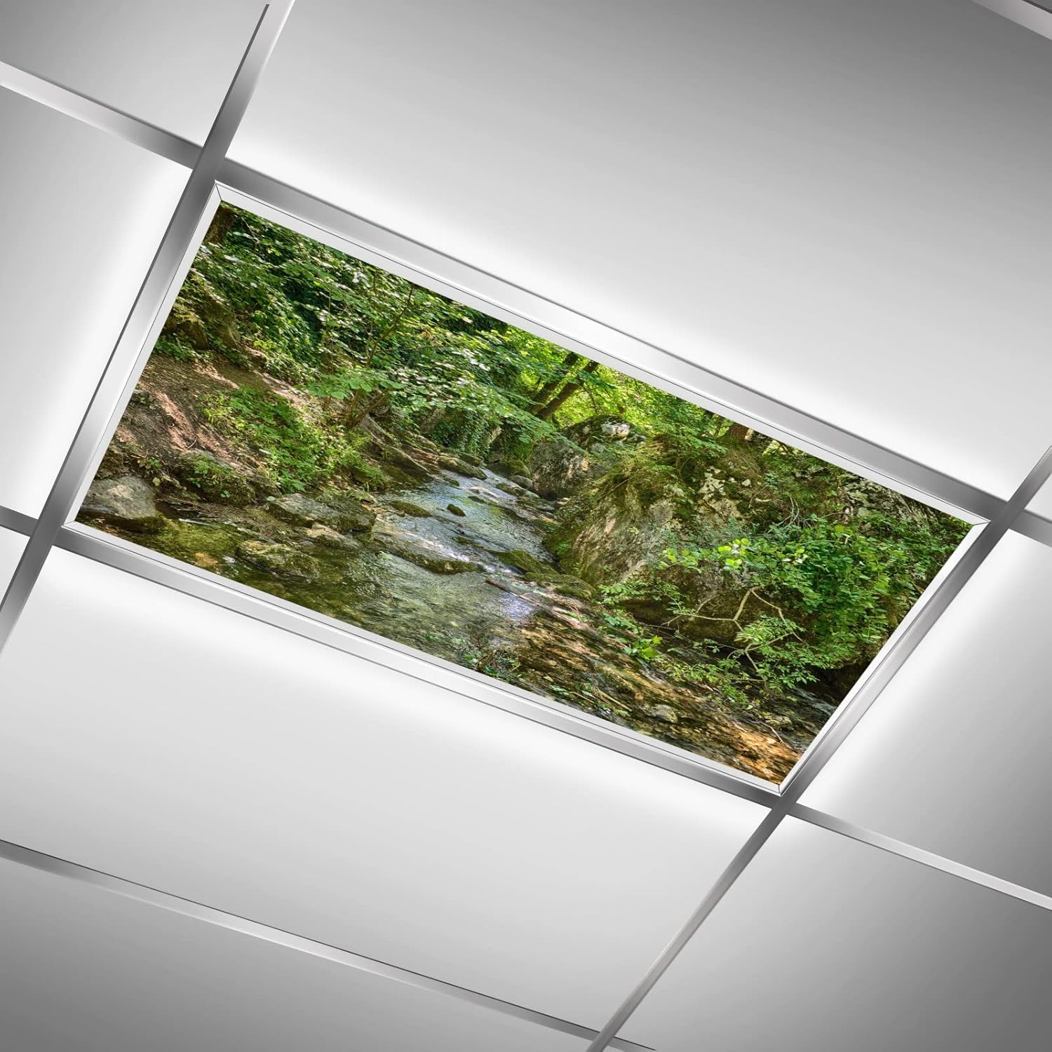 Amazon Overhead Light Covers at Luke Earsman blog