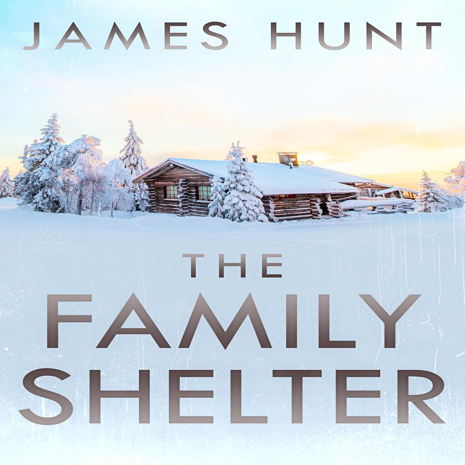 Amazon.com: The Family Shelter (Audible Audio Edition): James Hunt ...