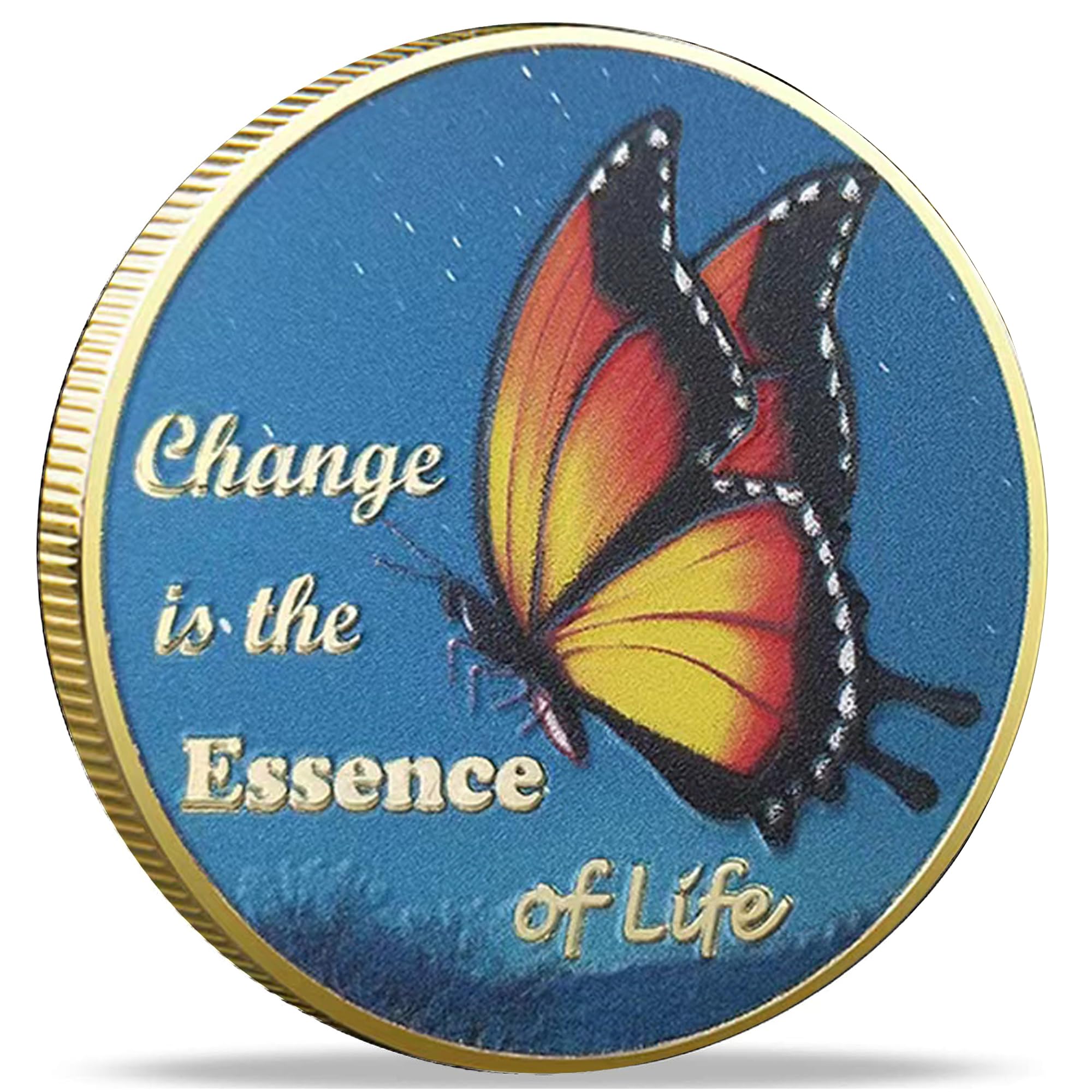 Amazon.com: Butterfly Sobriety Chip AA NA Medallion Change is The ...