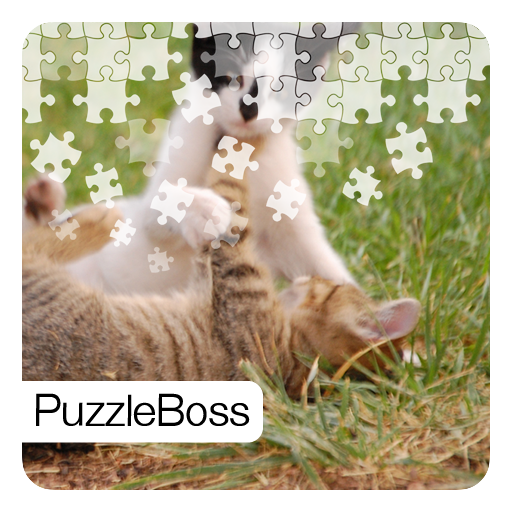 Kitten Jigsaw Puzzles - App on Amazon Appstore