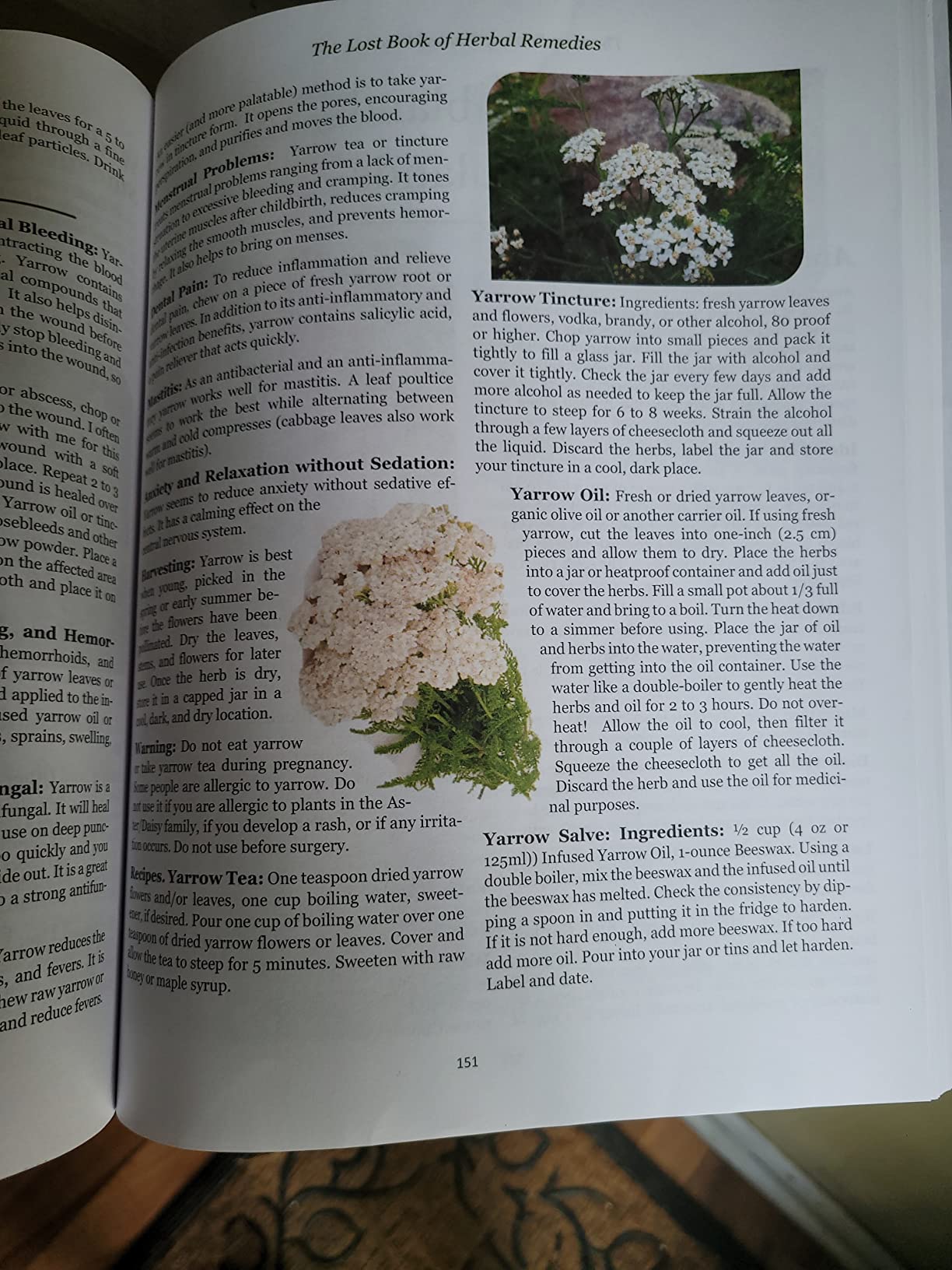 The Lost Book of Herbal Remedies