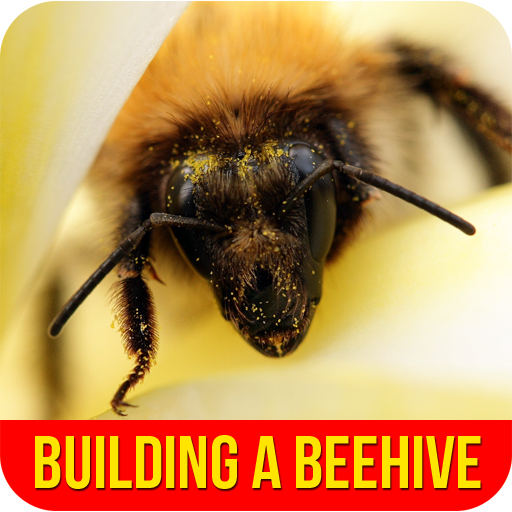 Building A Beehive - App on Amazon Appstore