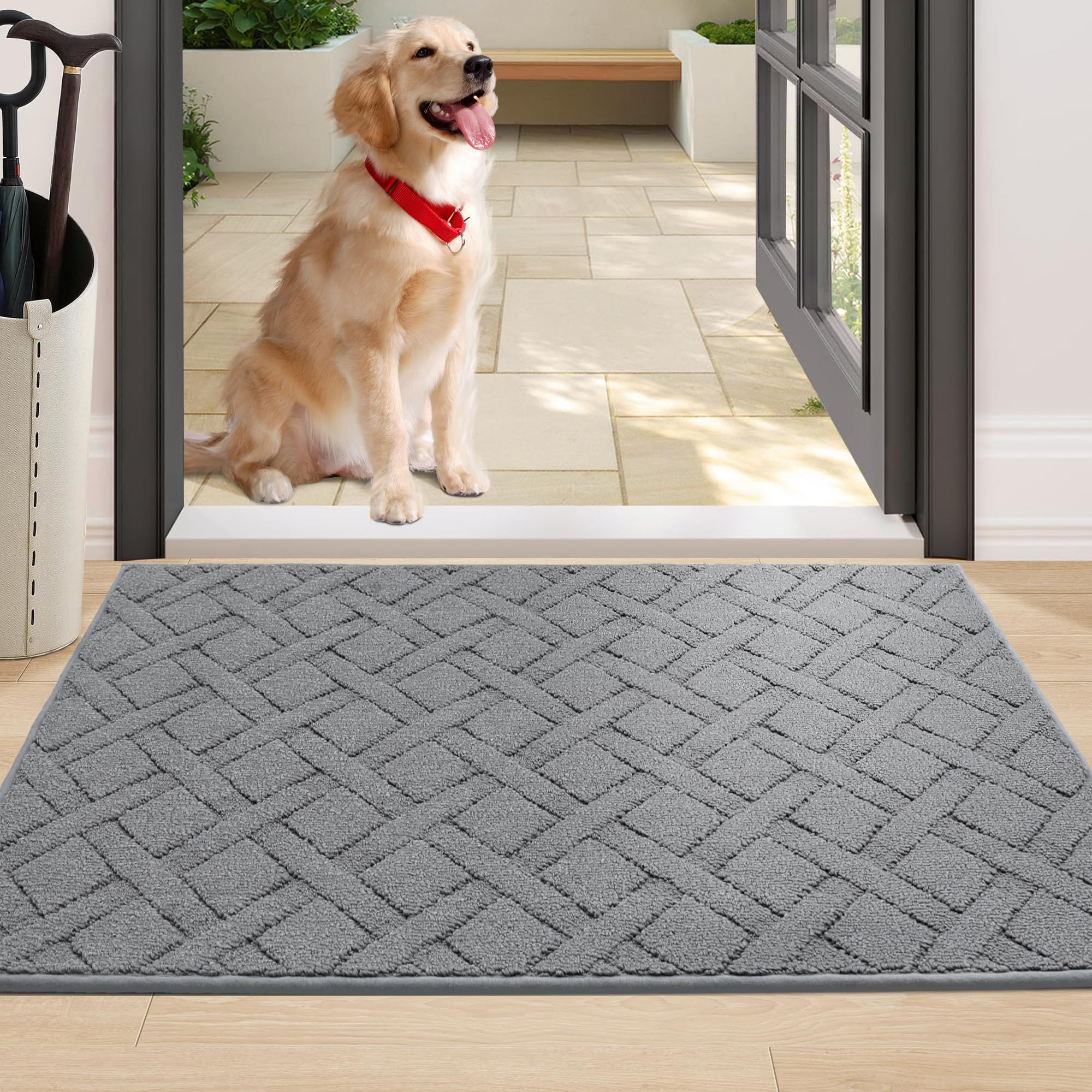 Amazon.com: COSY HOMEER Dog Door Mat for Muddy Paws, Absorbs Moisture ...