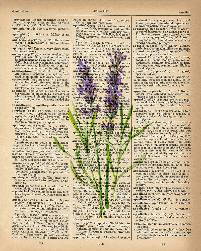 Dictionary Pages To Print