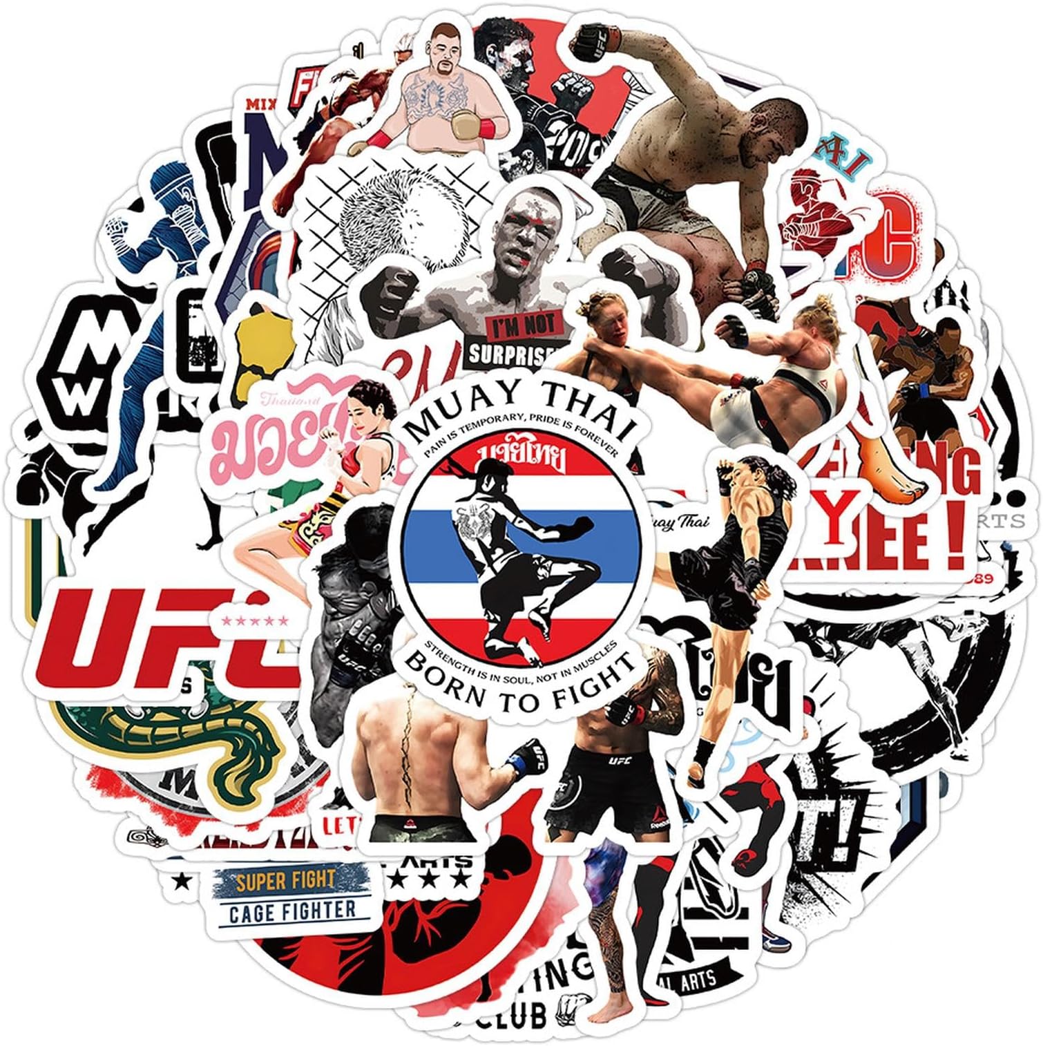 Amazon.com: Asabee Martial Arts Stickers - Martial Arts Gifts for Boys ...
