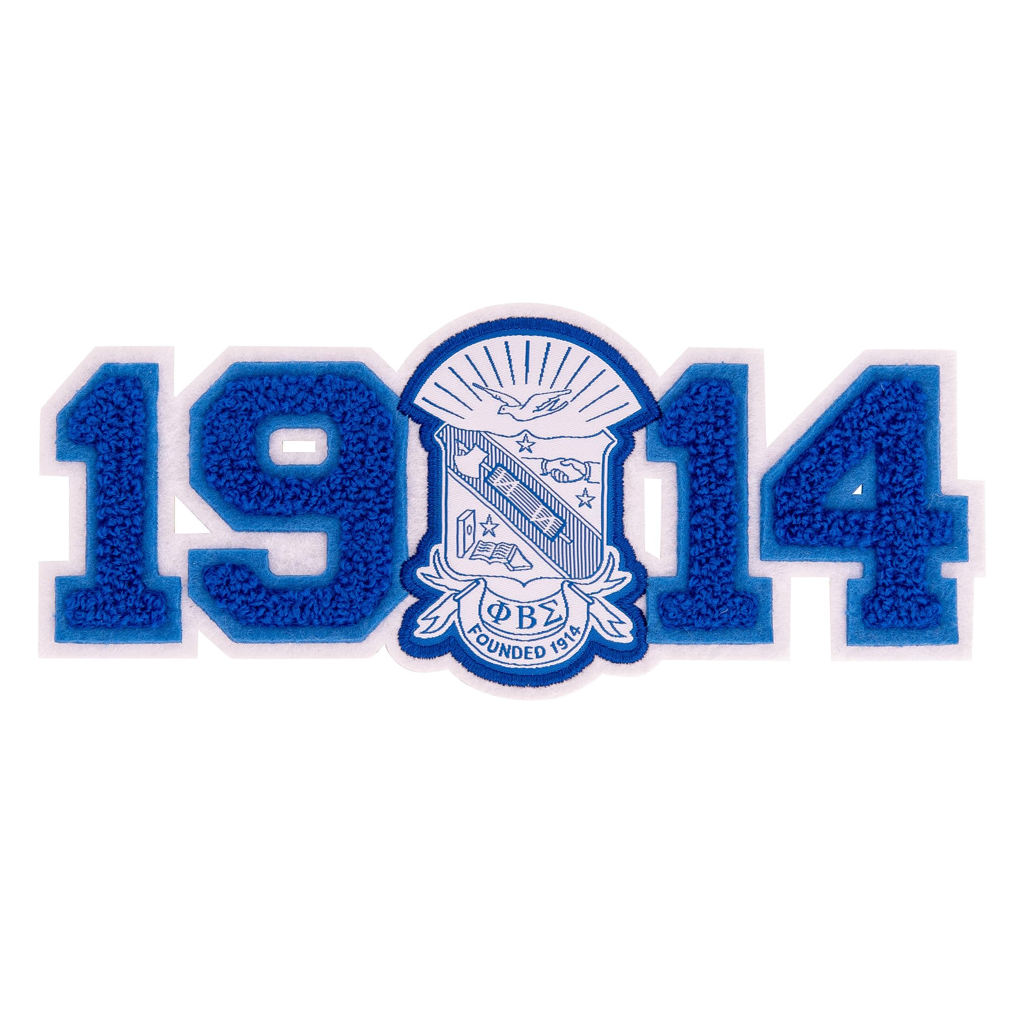 Amazon.com: Desert Cactus Phi Beta Sigma Patch Fraternity Divine 9 ...