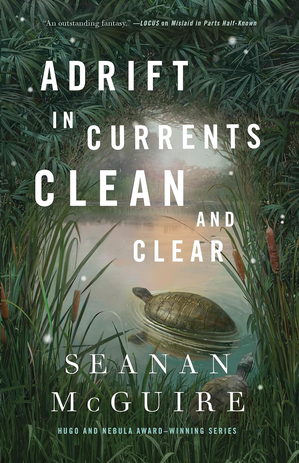 Amazon.com: Adrift in Currents Clean and Clear (Wayward Children Book ...