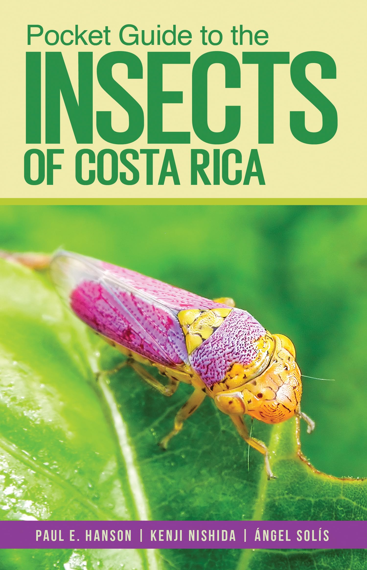 Snapklik.com : Pocket Guide To The Insects Of Costa Rica