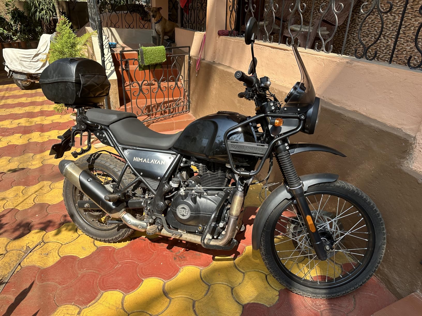 Studds Top Case (Black) : Amazon.in: Car & Motorbike