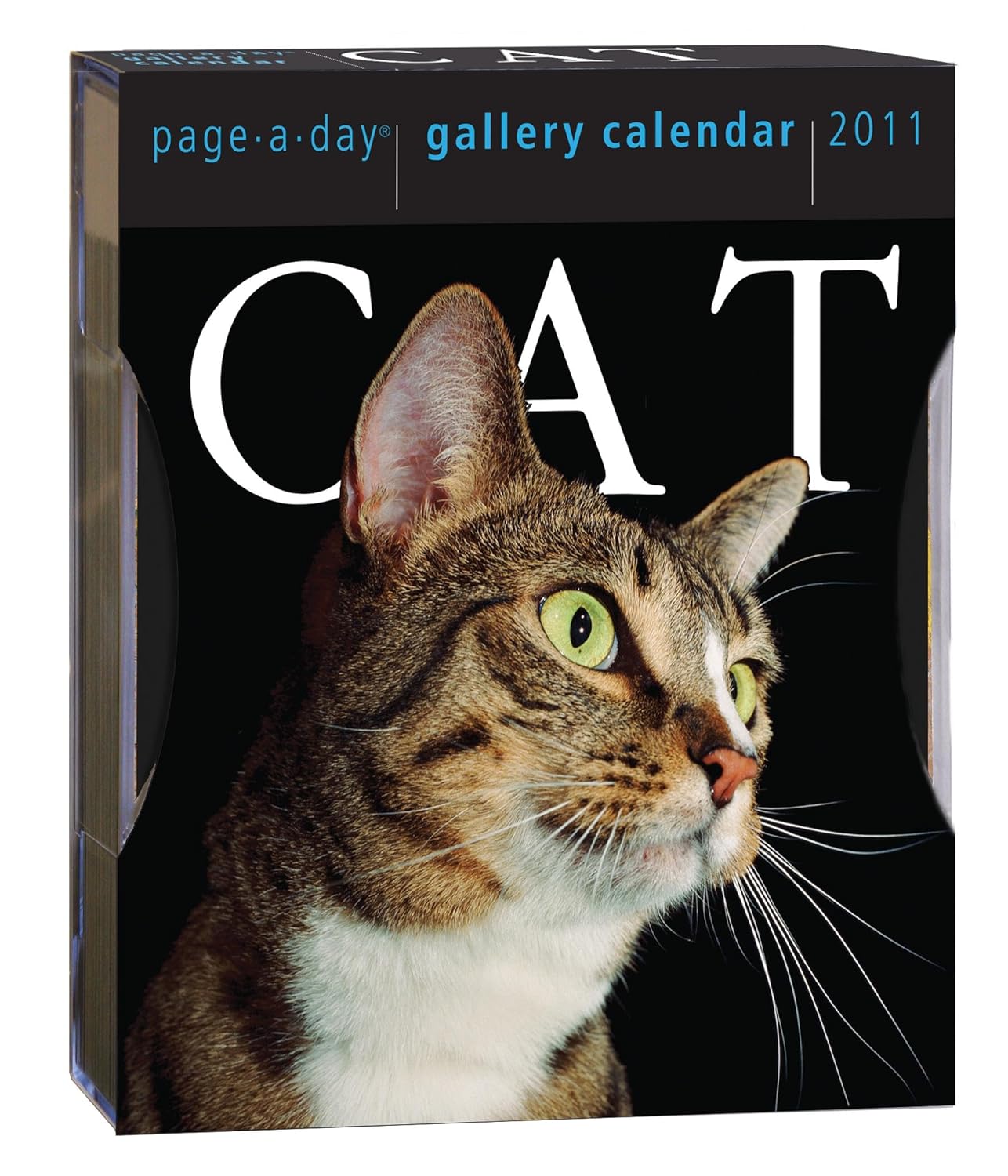 Amazon | Cat Gallery 2011 Calendar | Workman Publishing | Cats