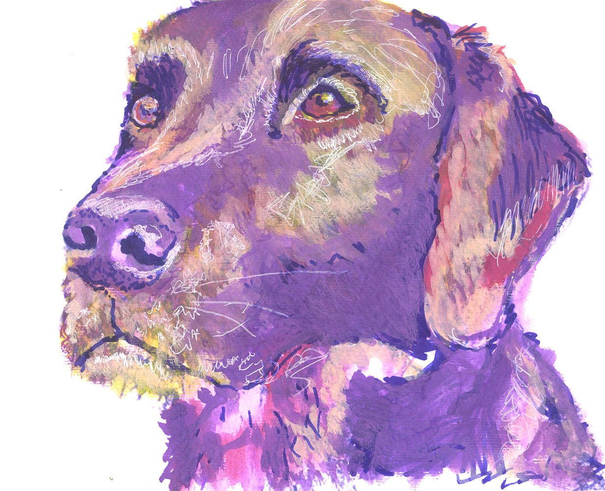 Amazon.com: Purple Labrador Wall Art Print, Labrador Mom Gift, Lab Dog ...